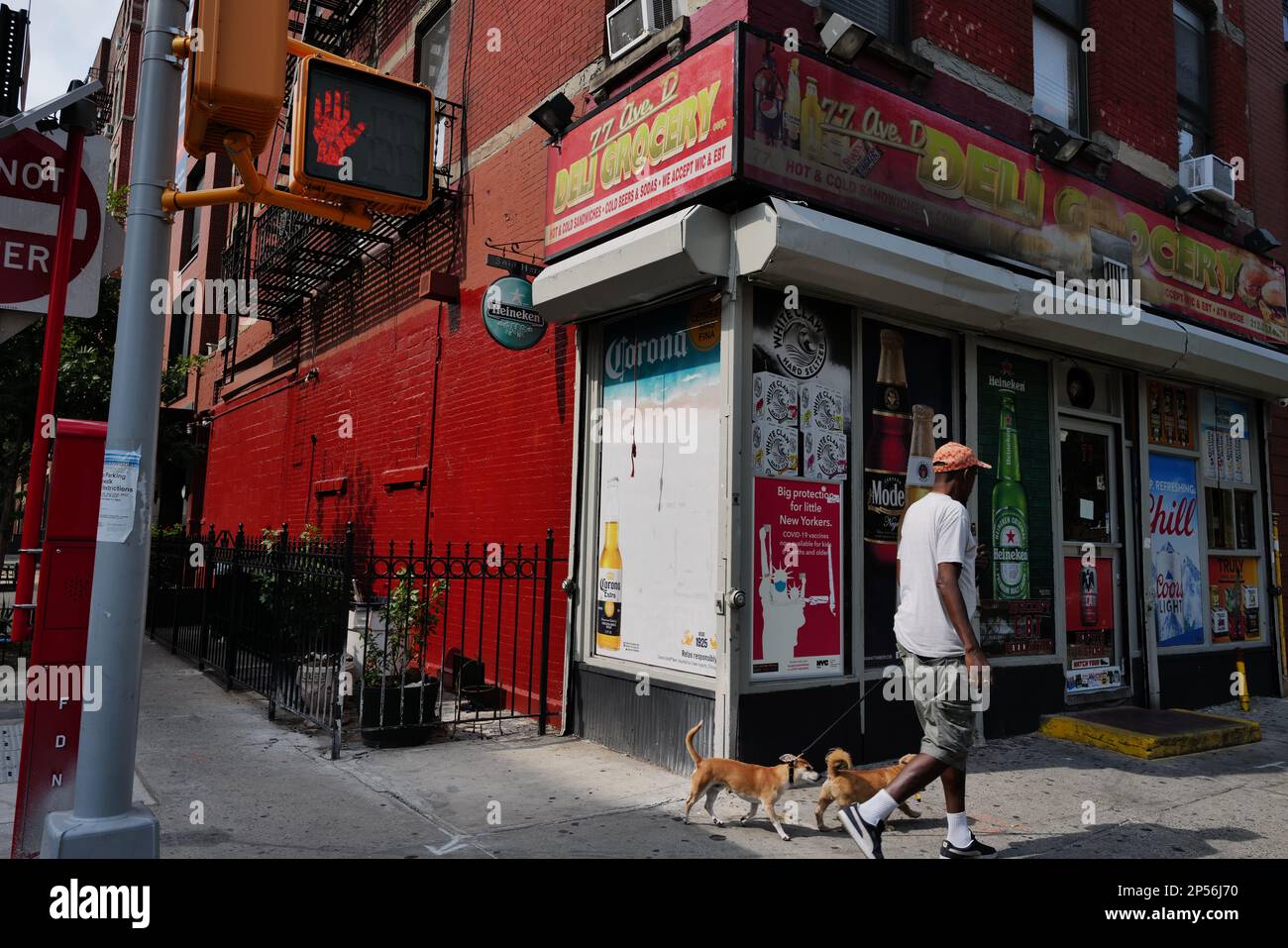 Man walking dogs past a bodega on the Lower East Side, New York City ...