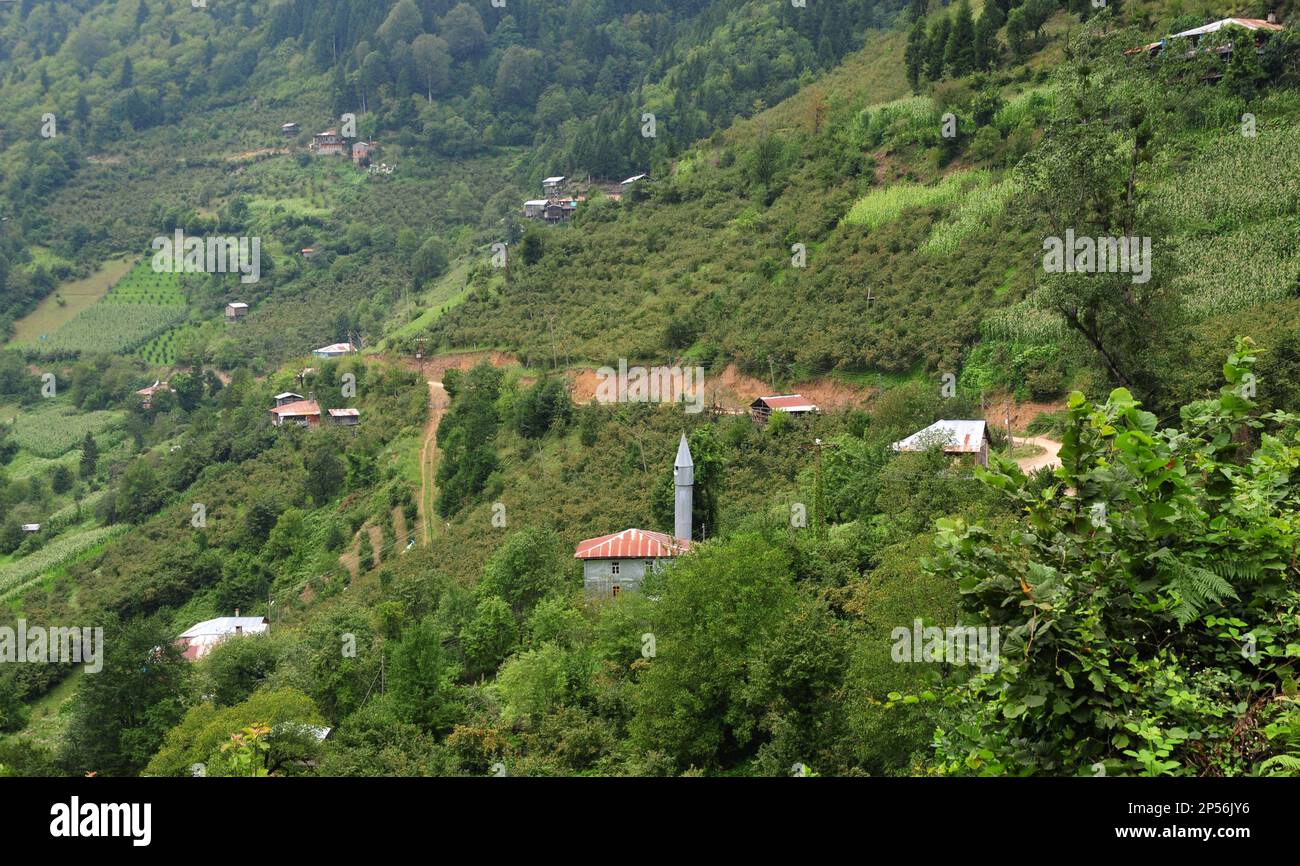 Maral hi-res stock photography and images - Alamy