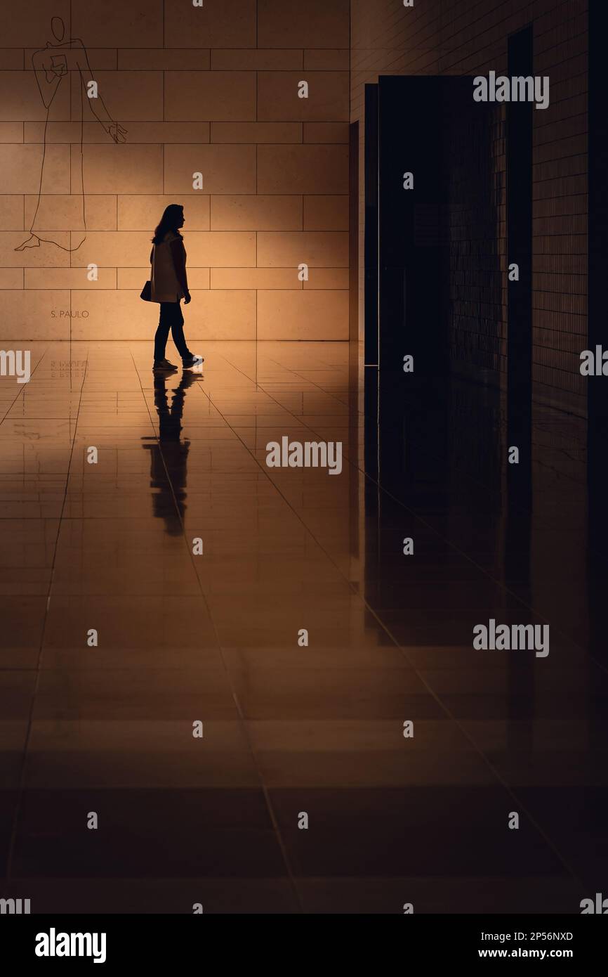 silhouette of a woman on the background of the city following the light ...