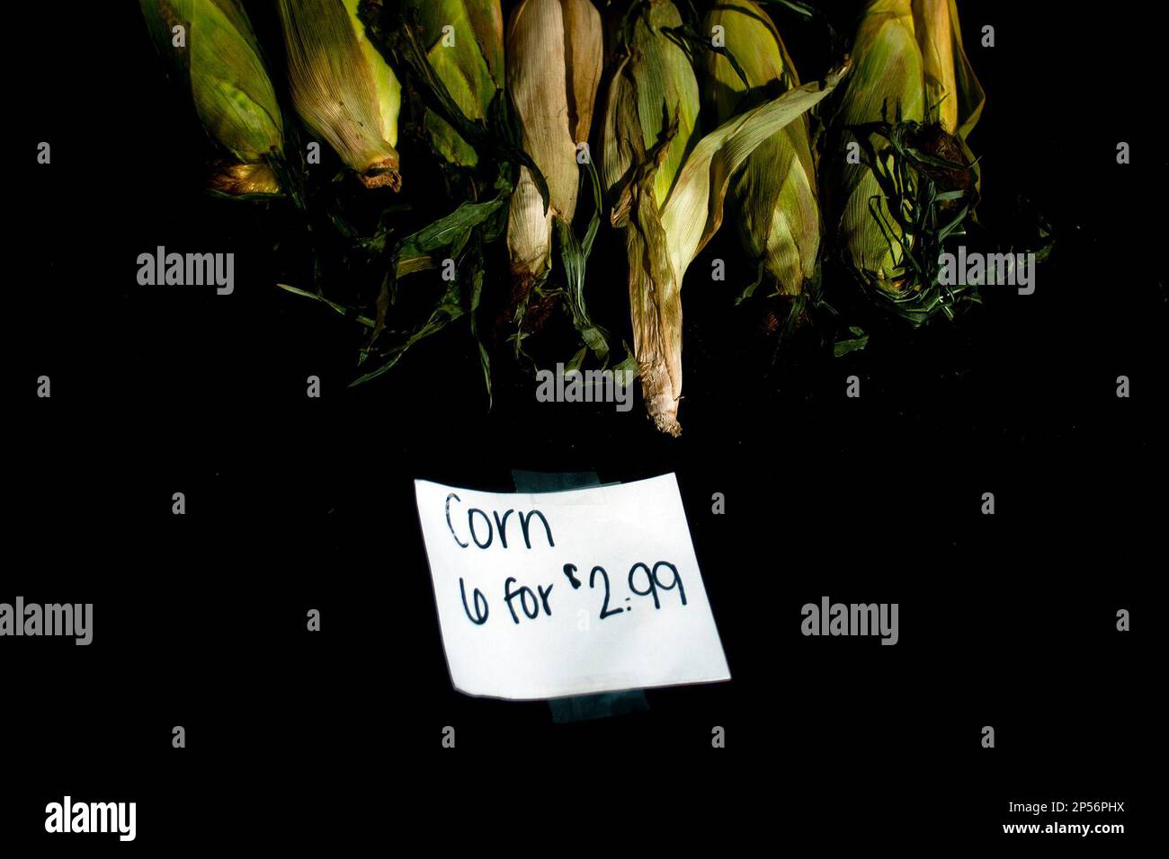 Six ears of corn are displayed for sale from the Mr. Rogers Program on ...