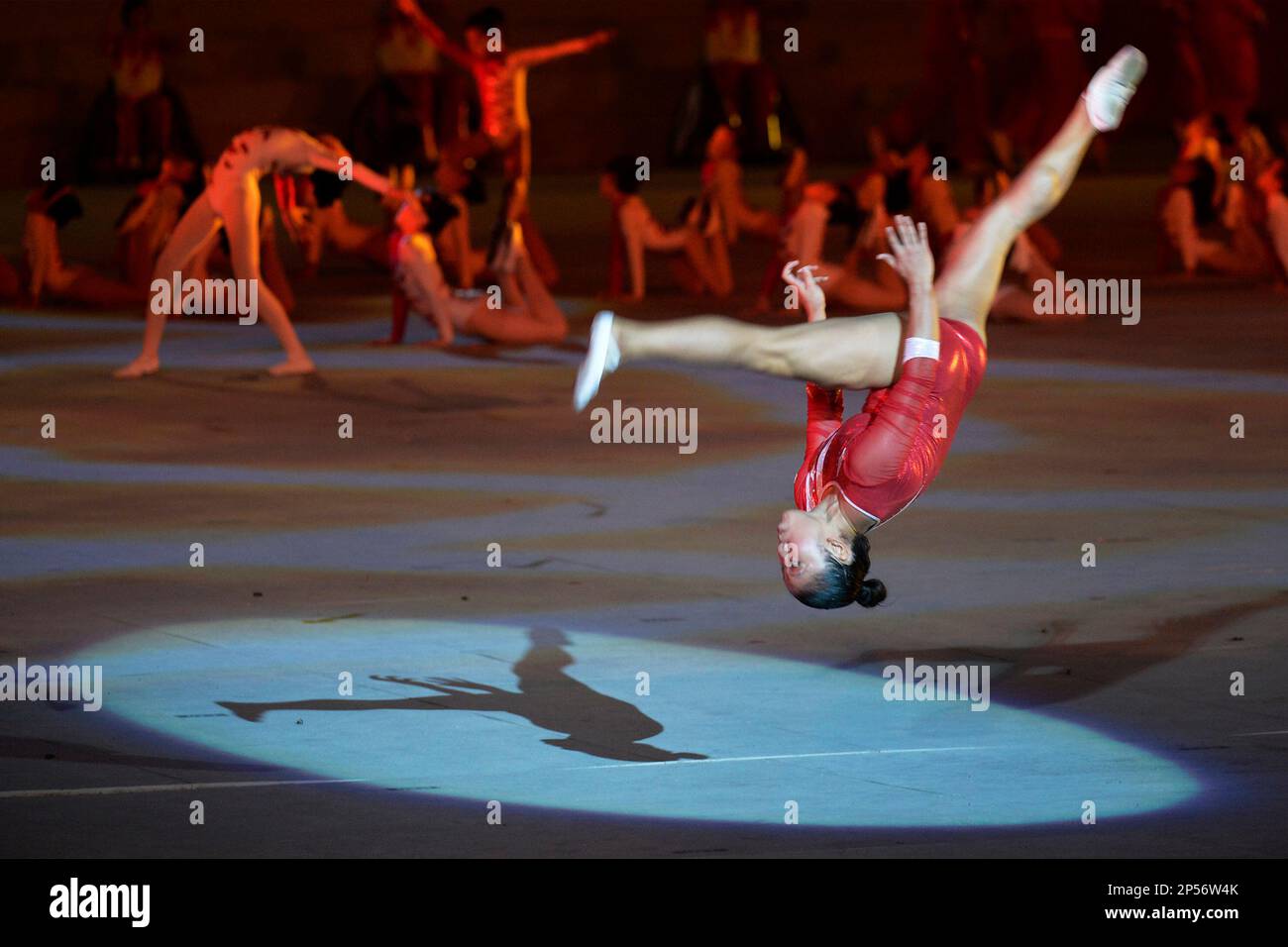 Seven gymnasts performed at the National Day Parade 2013, including ...