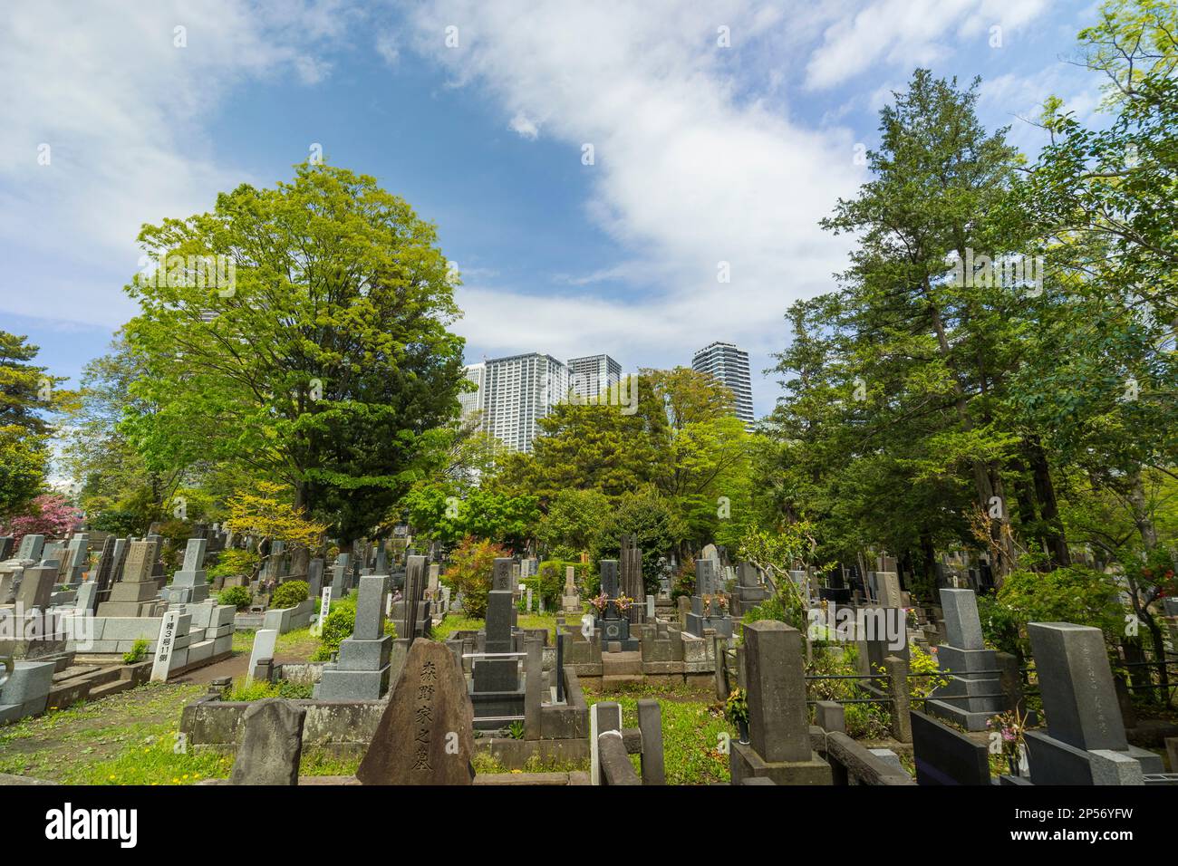 Ikebukuro skyscraper stands behind Zoshigaya Cemetery in Tokyo Japan ...