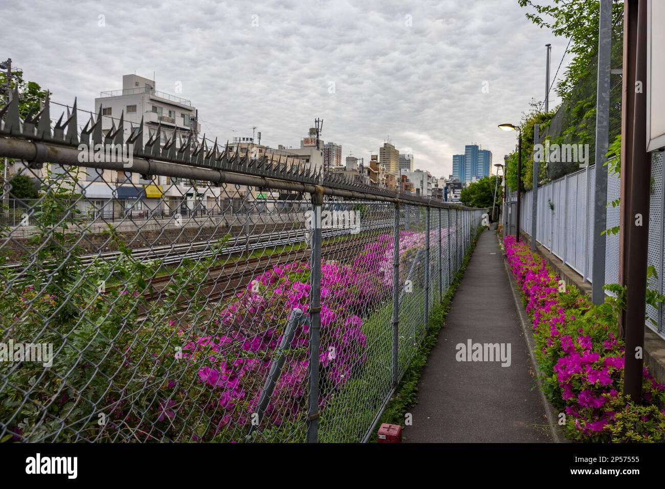 JR railroad track runs along pedestrian walkway in Mejiro Tokyo Japan ...