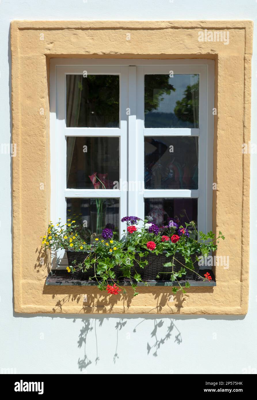 The abstract view of a little shop window with colorful flowers in ...