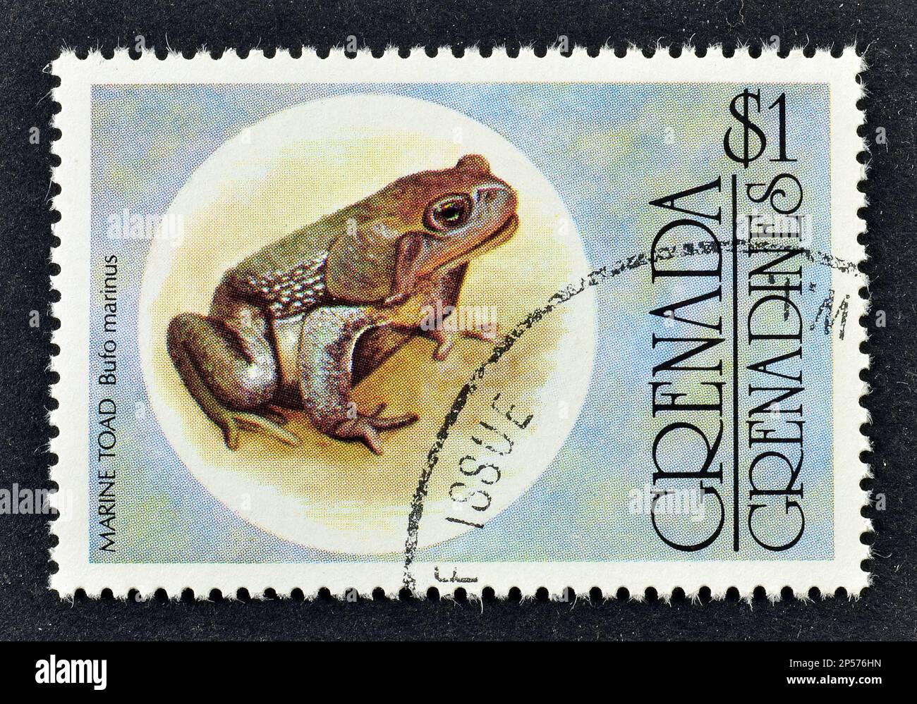cancelled postage stamp printed by Grenada, that shows Marine Toad ...