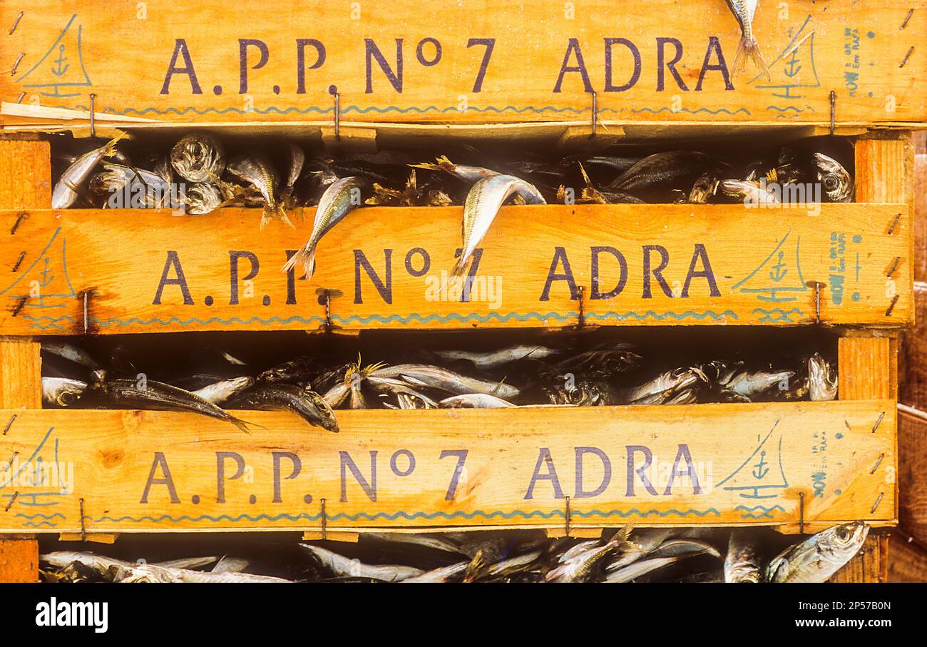 fish boxes, in fishing port of Adra. Almeria province, Andalucia, Spain ...