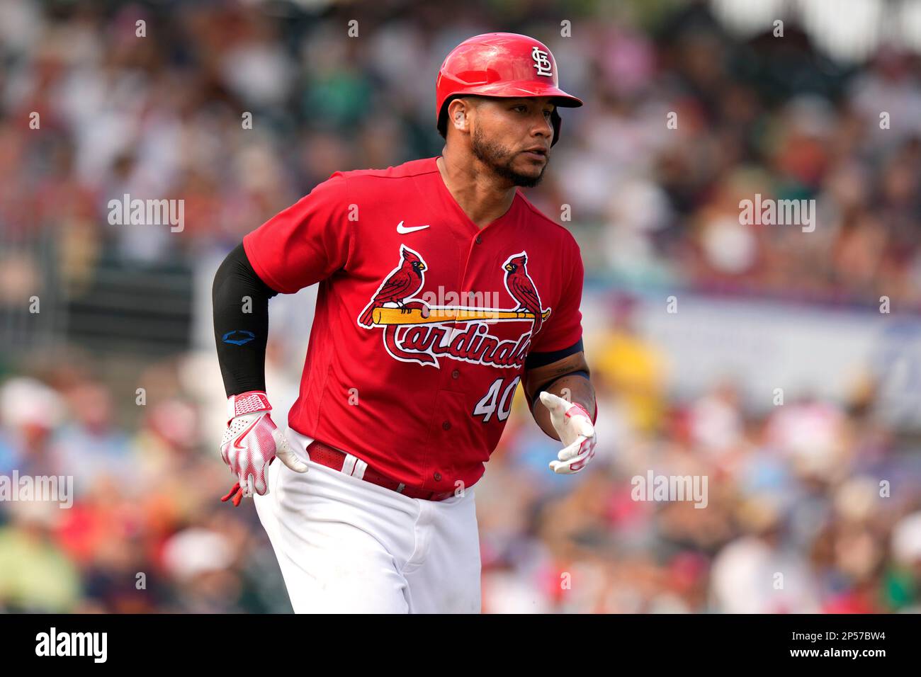 St. Louis Cardinals' Willson Contreras runs after hitting a single ...
