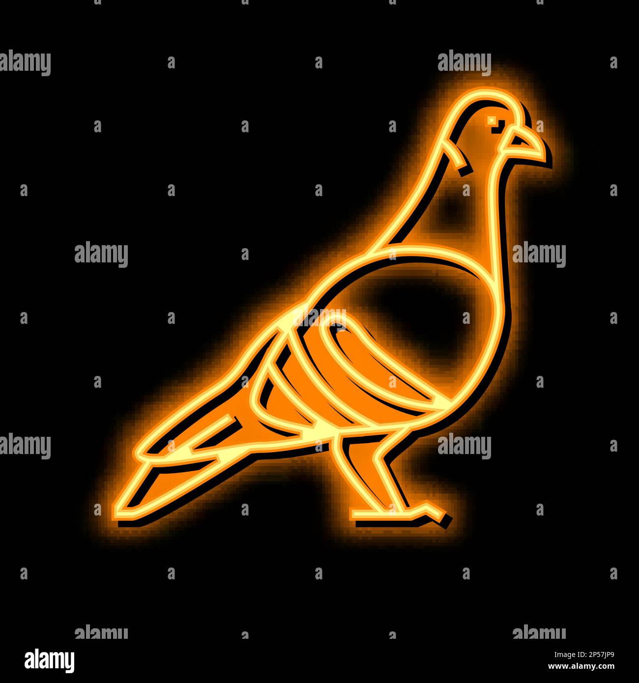 pigeon bird neon glow icon illustration Stock Vector Image & Art - Alamy