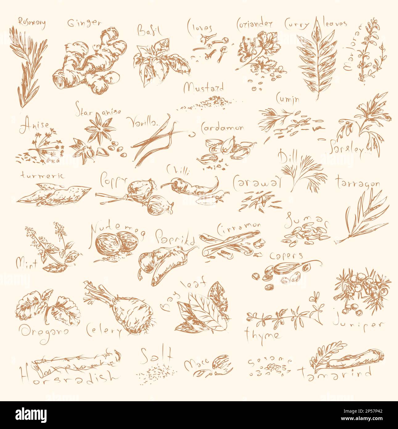 Herbs and spices collection Stock Vector Image & Art - Alamy