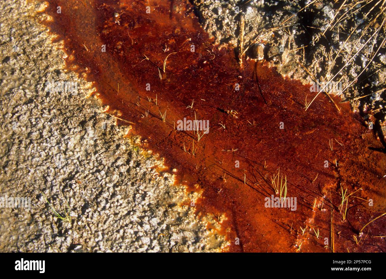 Salt runoff hi-res stock photography and images - Alamy