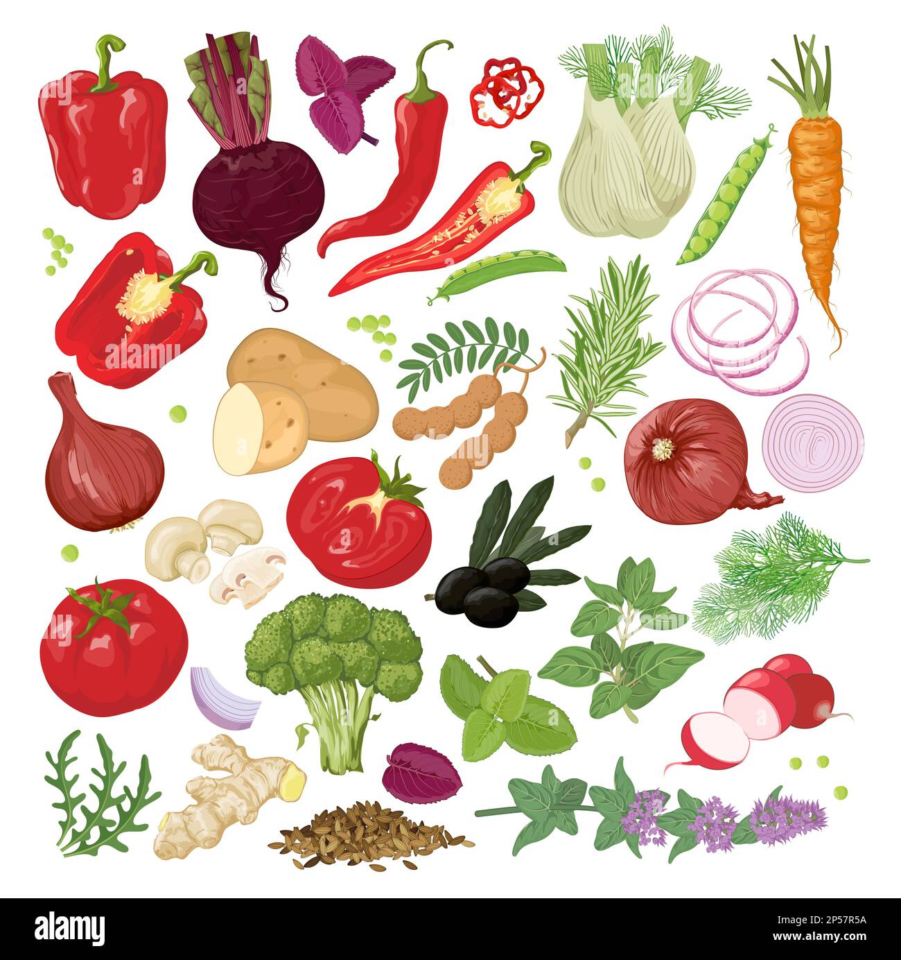 Vegetables and herbs collection Stock Vector Image & Art - Alamy