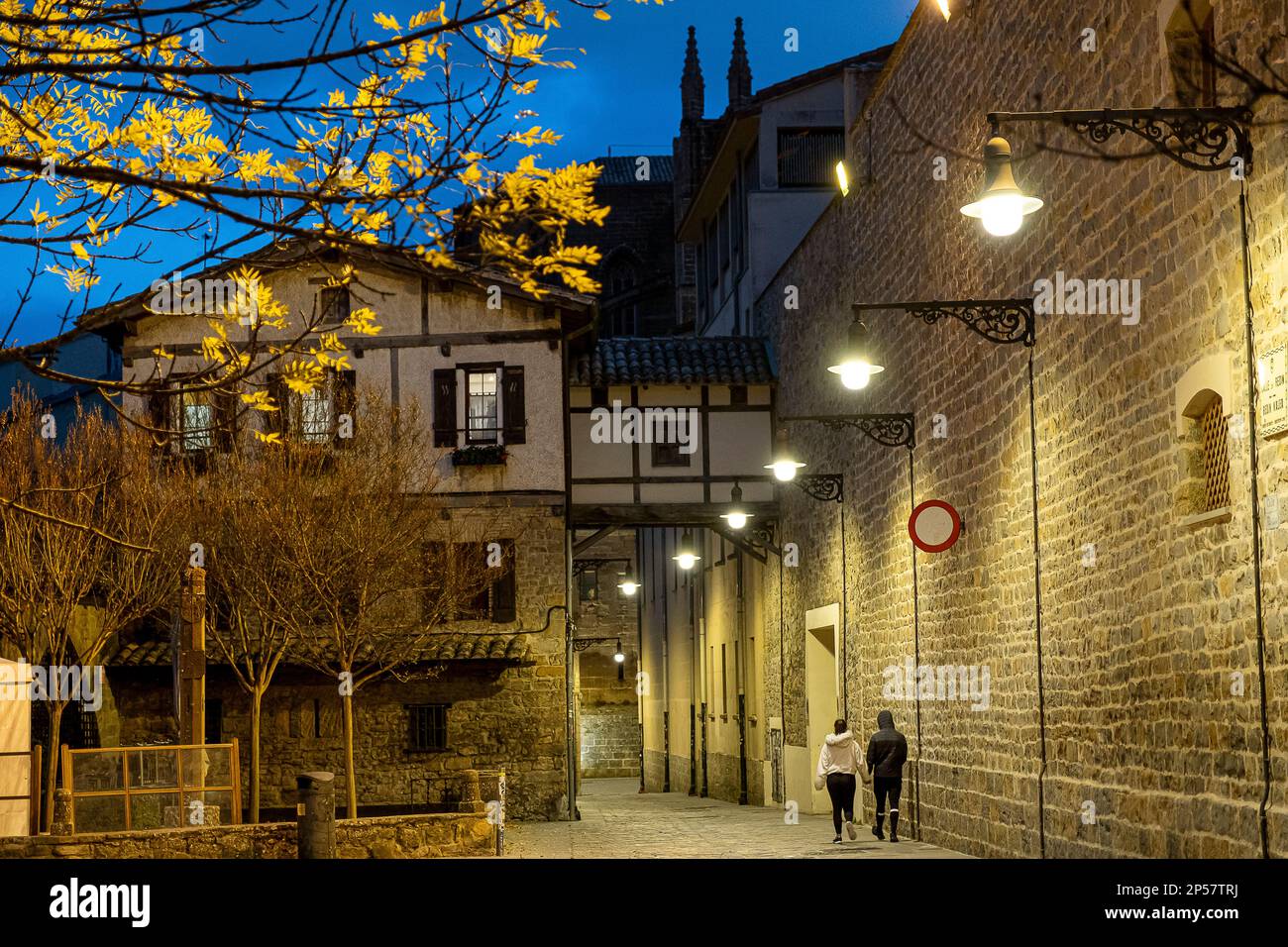 Caballo blanco hi-res stock photography and images - Alamy