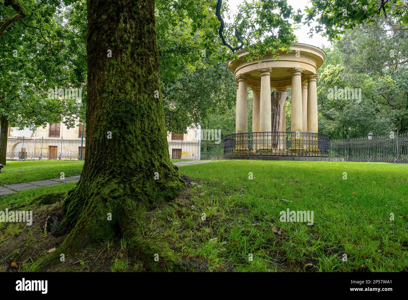 A view of the trunk of the old tree of Gernika (Gernikako Arbola) in ...