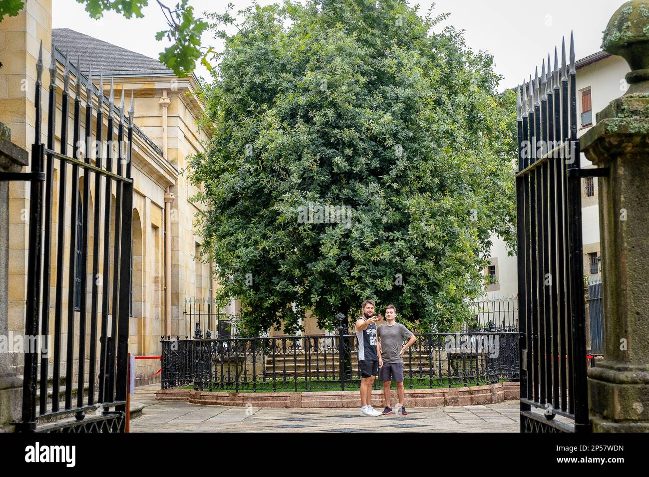 The Tree of Gernika outside the Assembly House (Casa de las Juntas ...