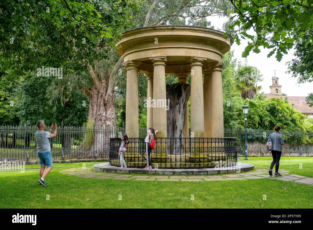 A view of the trunk of the old tree of Gernika (Gernikako Arbola) in ...