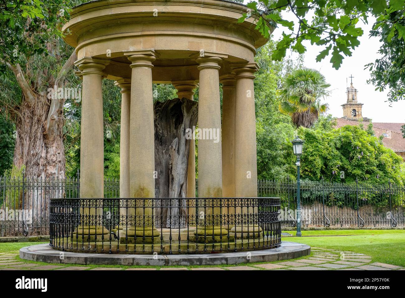 Tree of guernica hi-res stock photography and images - Alamy