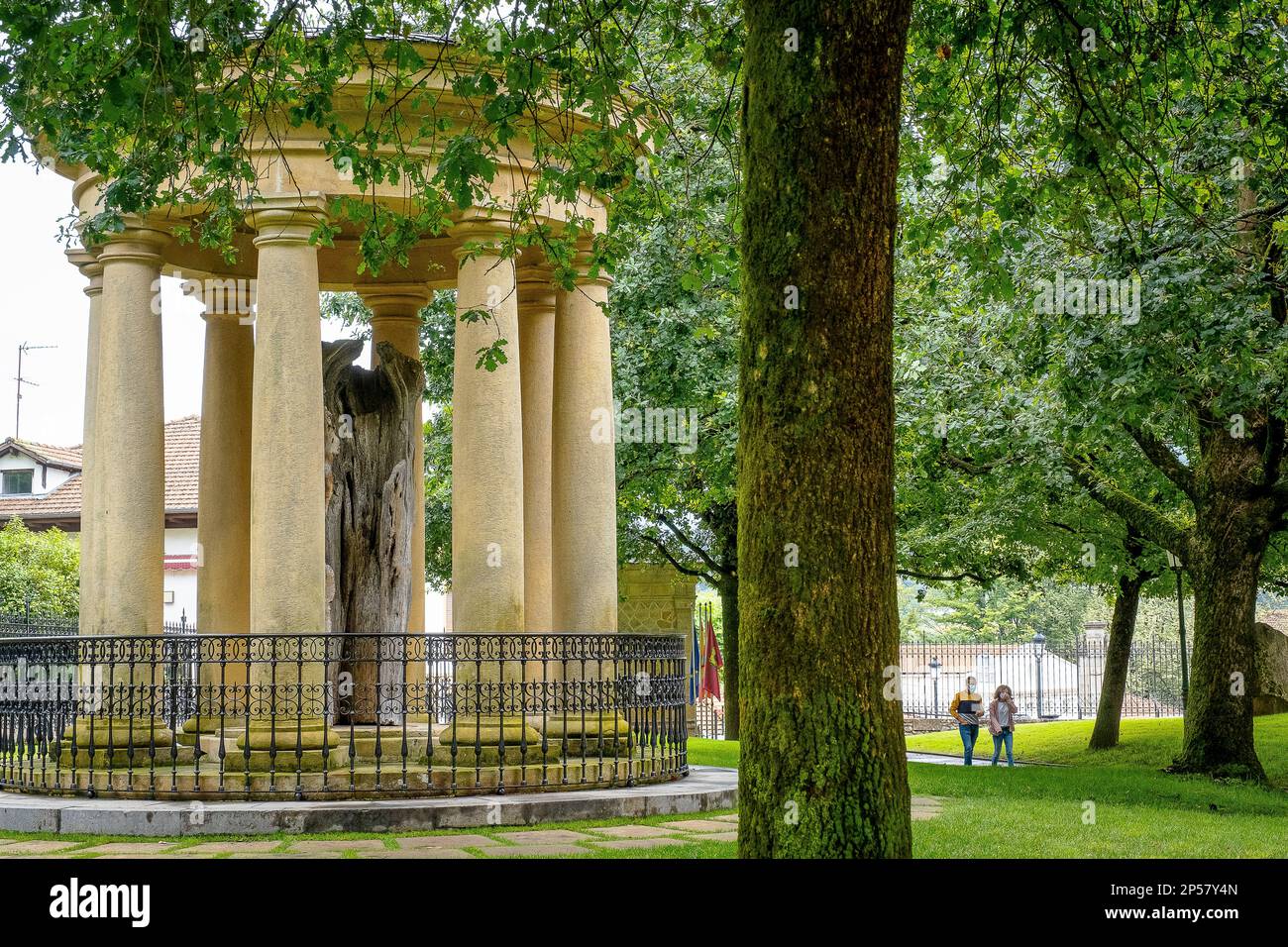 The oak of guernica hi-res stock photography and images - Alamy