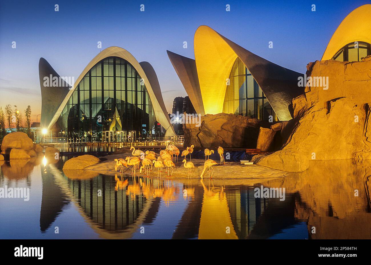 Oceanografic by Félix Candela, in City of Arts and Sciences by S ...