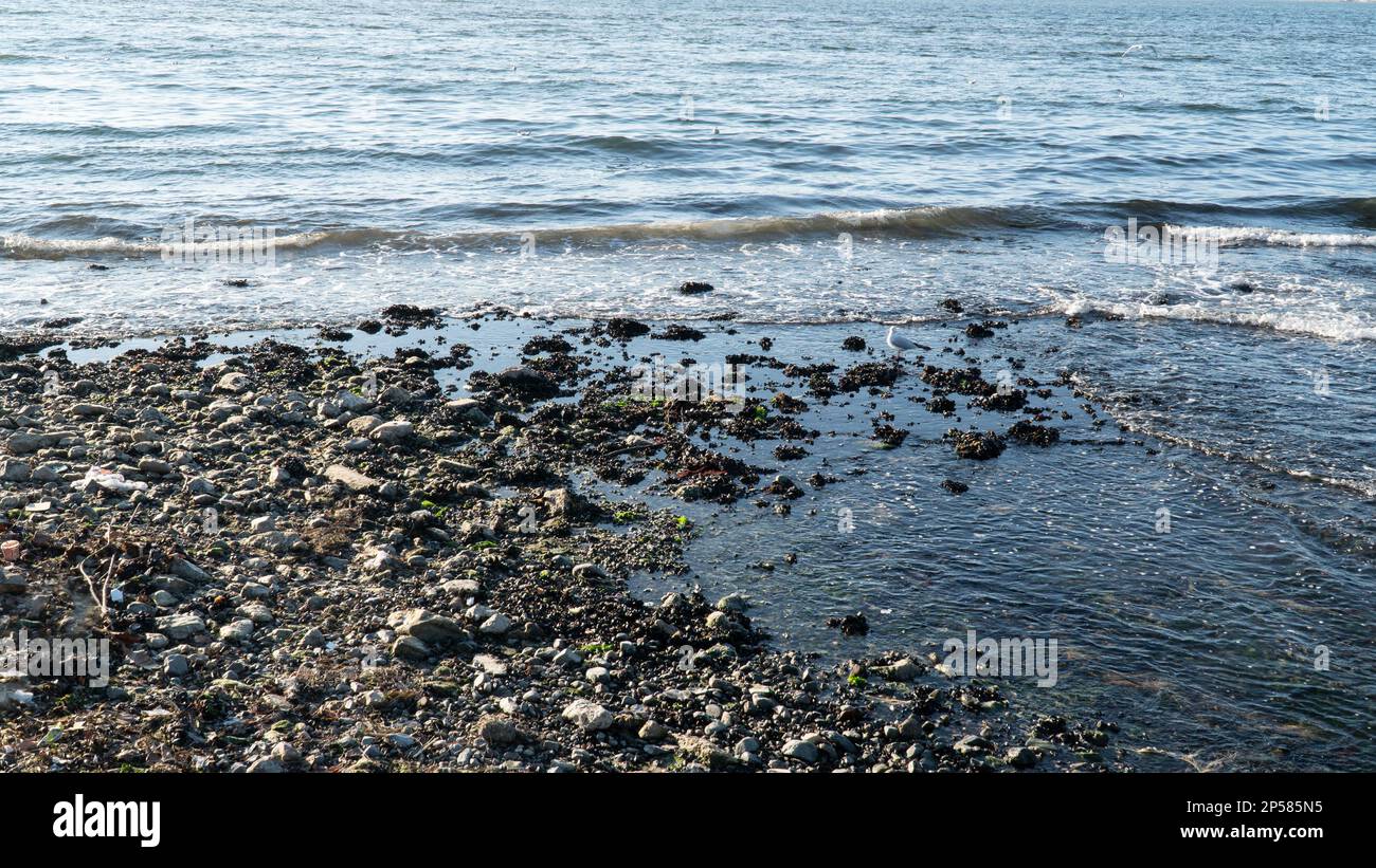 Ebb and flow. Tide. Sea level fall or decreasing. Seascape Stock Photo ...