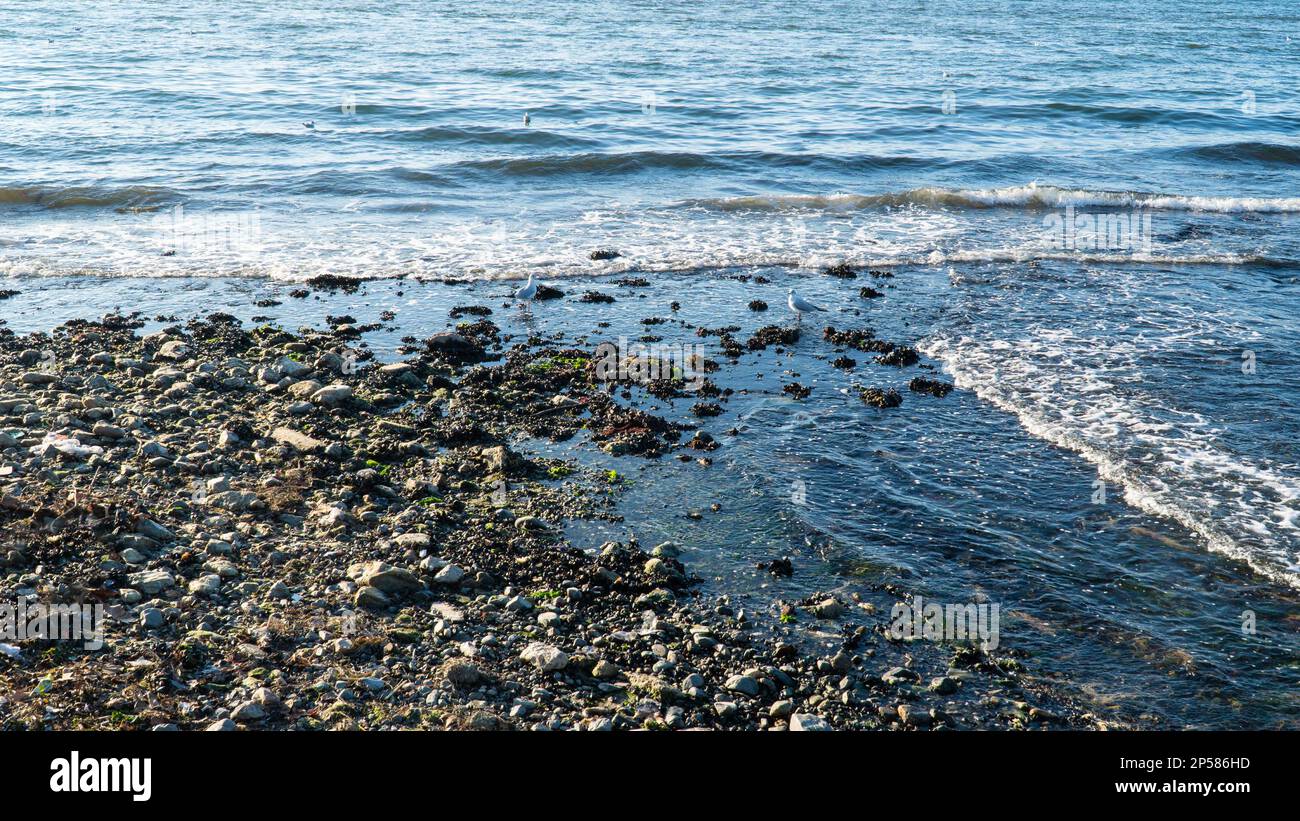 Flood tide ebb flow hi-res stock photography and images - Alamy