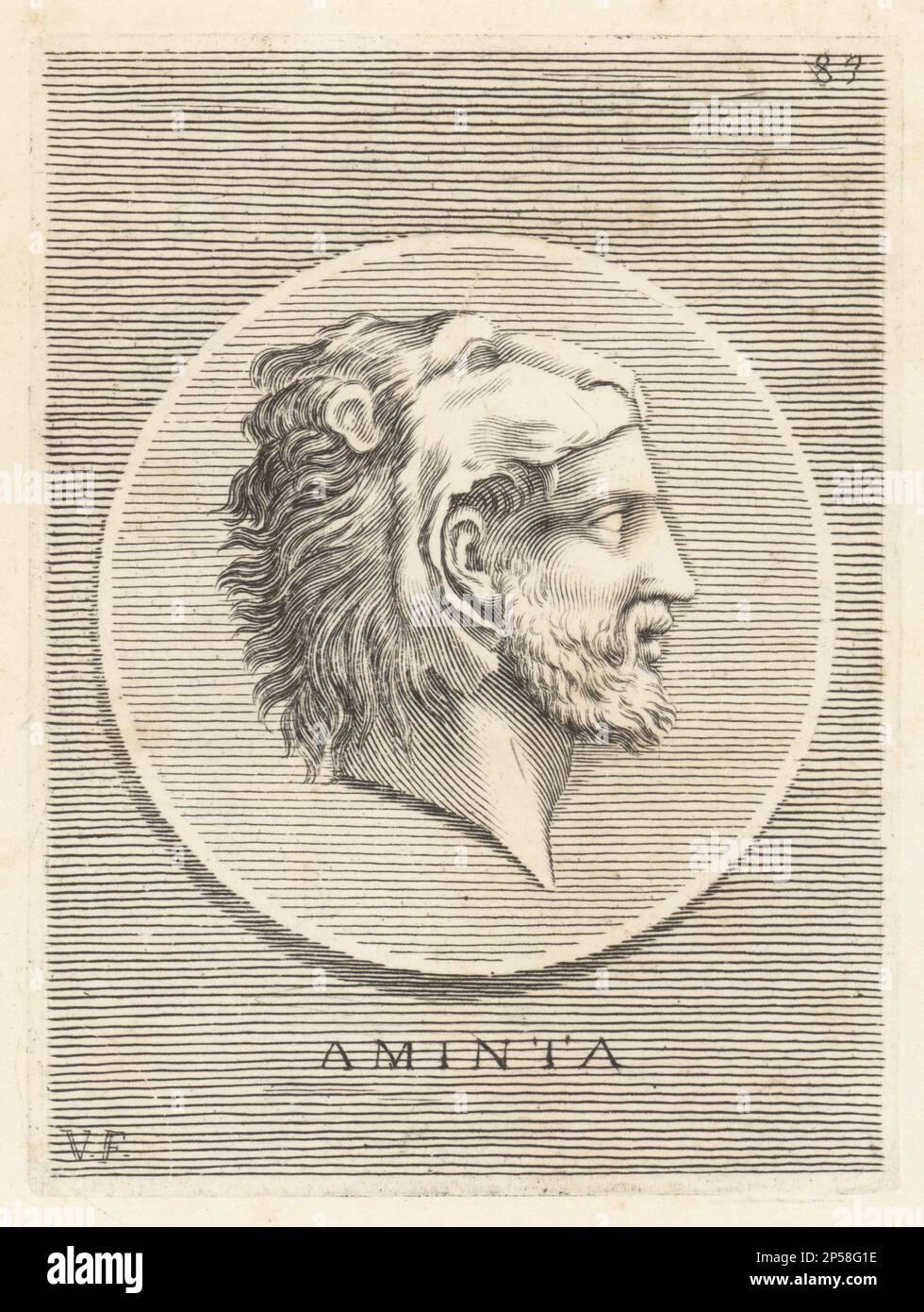 King amyntas i hi-res stock photography and images - Alamy