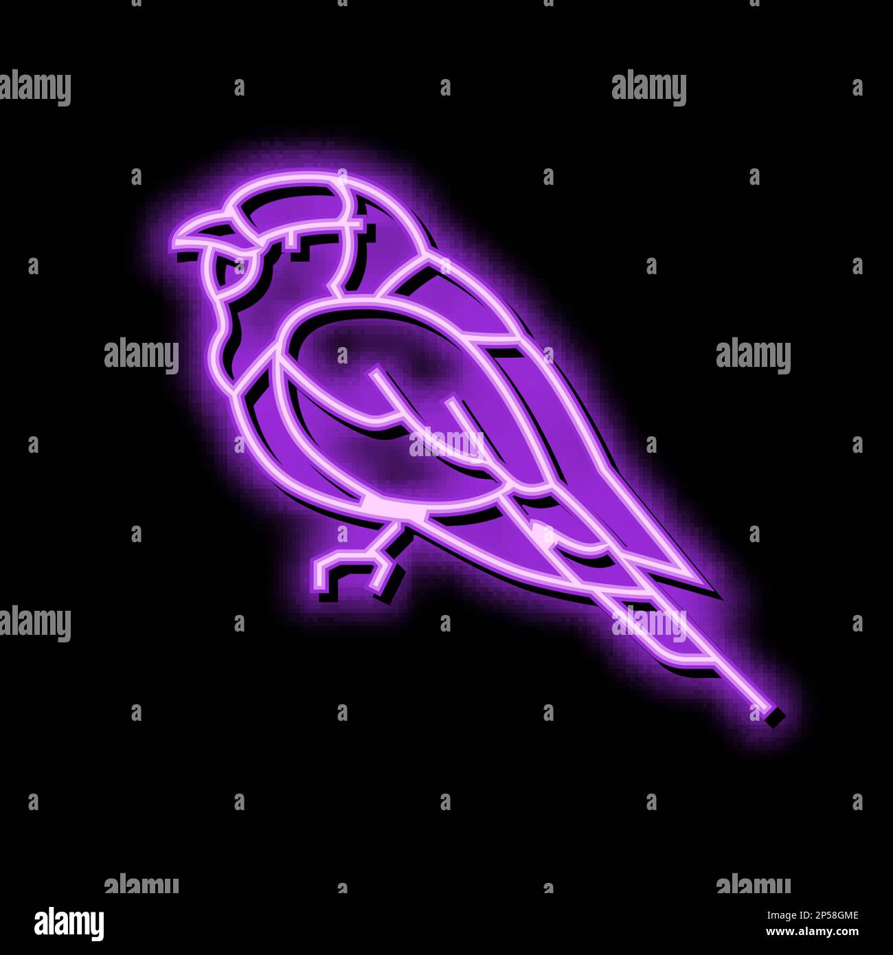 lilac breasted roller bird exotic color icon vector illustration Stock ...