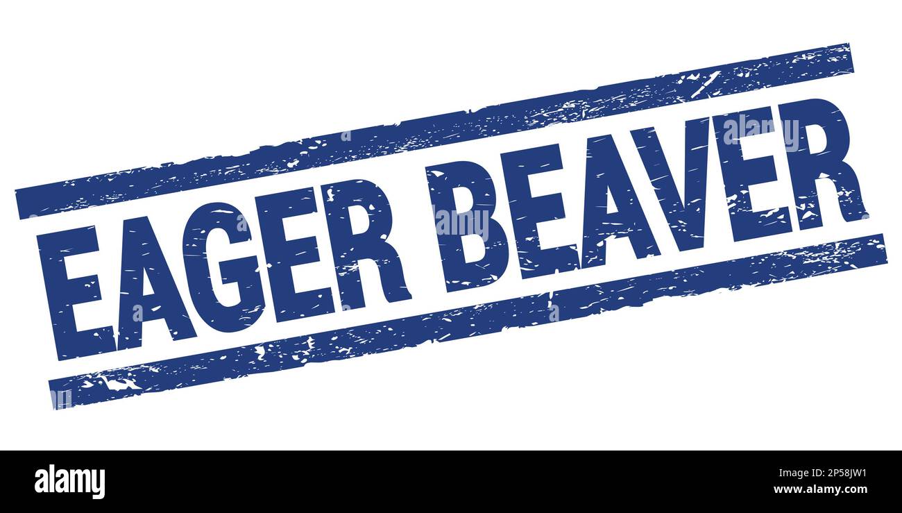 Beaver logo hi-res stock photography and images - Alamy