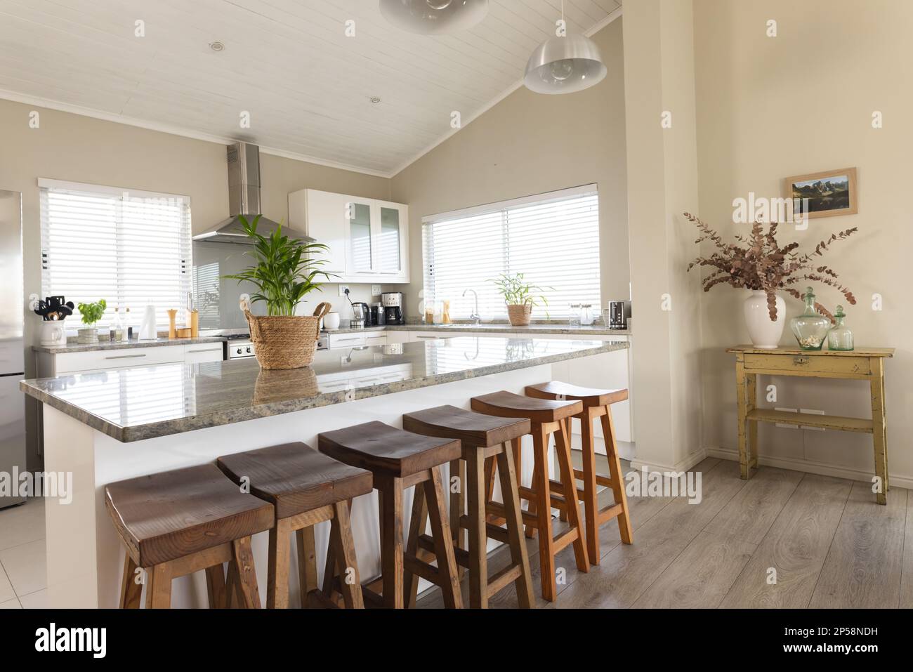 General view of modern kitchen with countertop and kitchen equipment ...