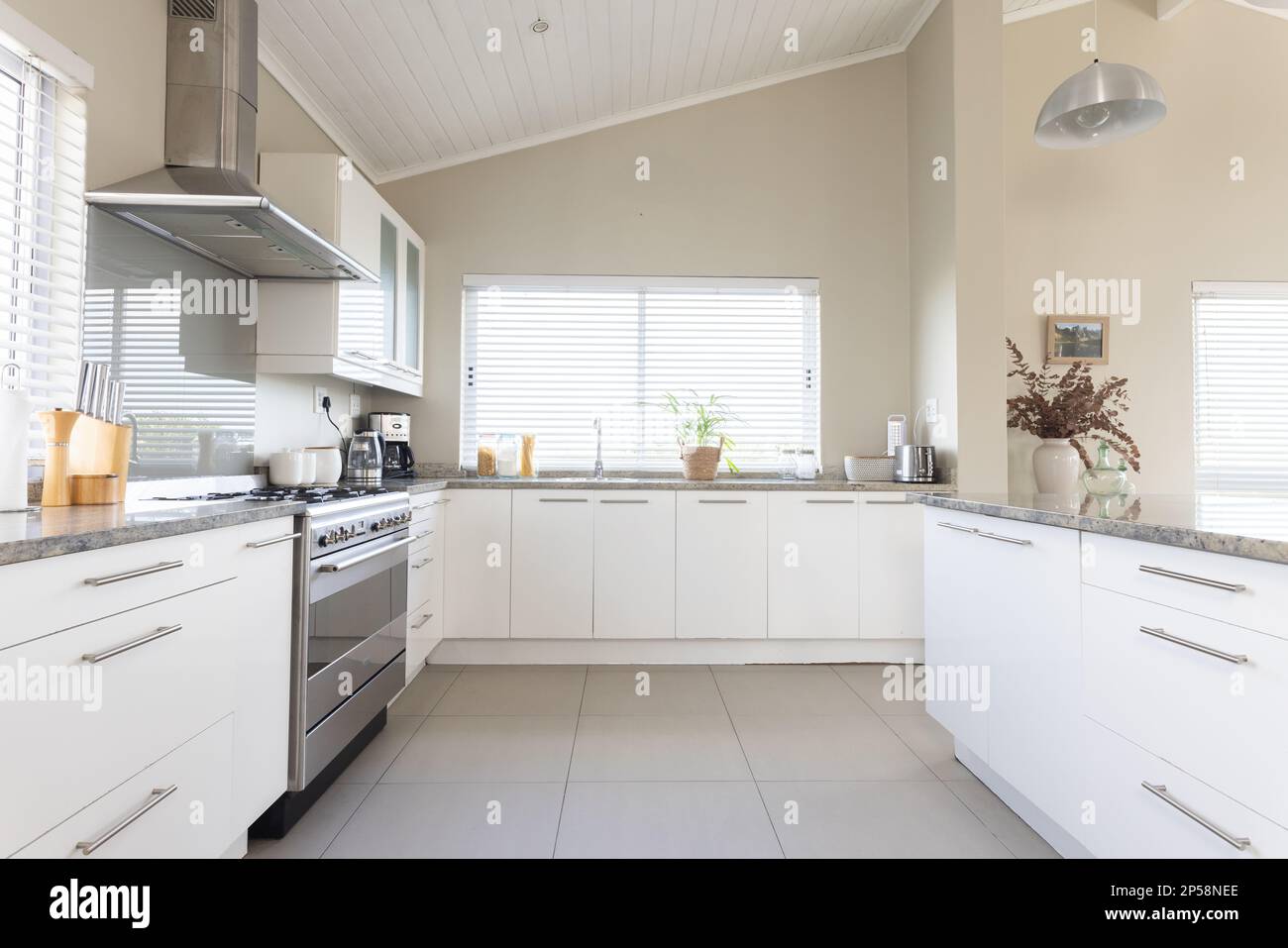 General view of modern kitchen with countertop and kitchen equipment ...