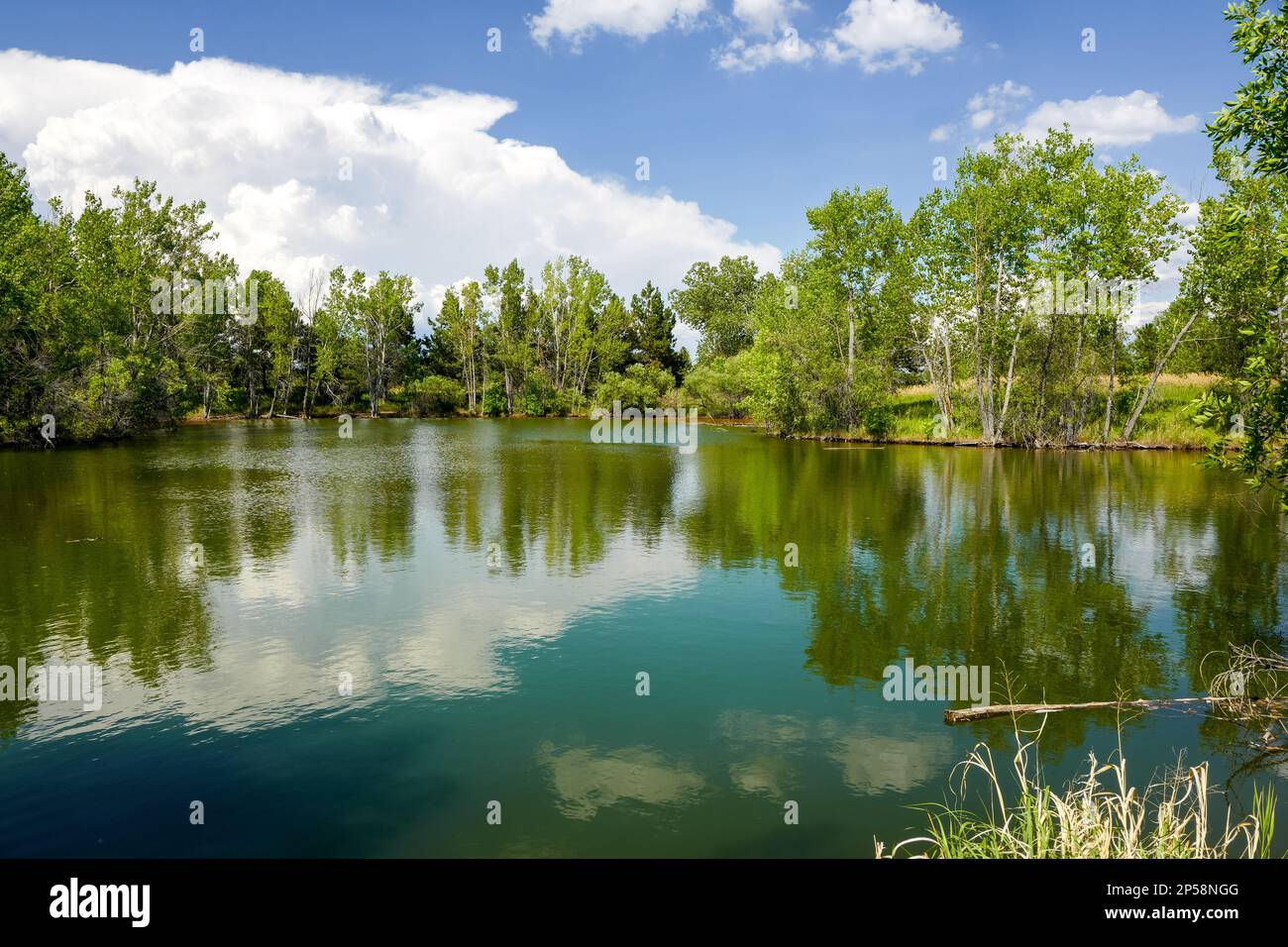 A picturesque lake in Belmar Park, Colorado with reflections of a blue ...
