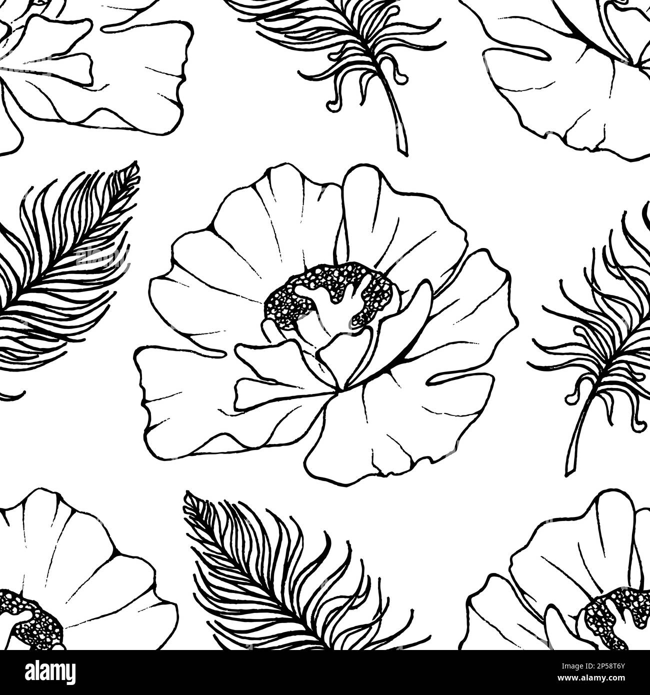 Doodle monochrome poppies feathers seamless pattern background texture ...