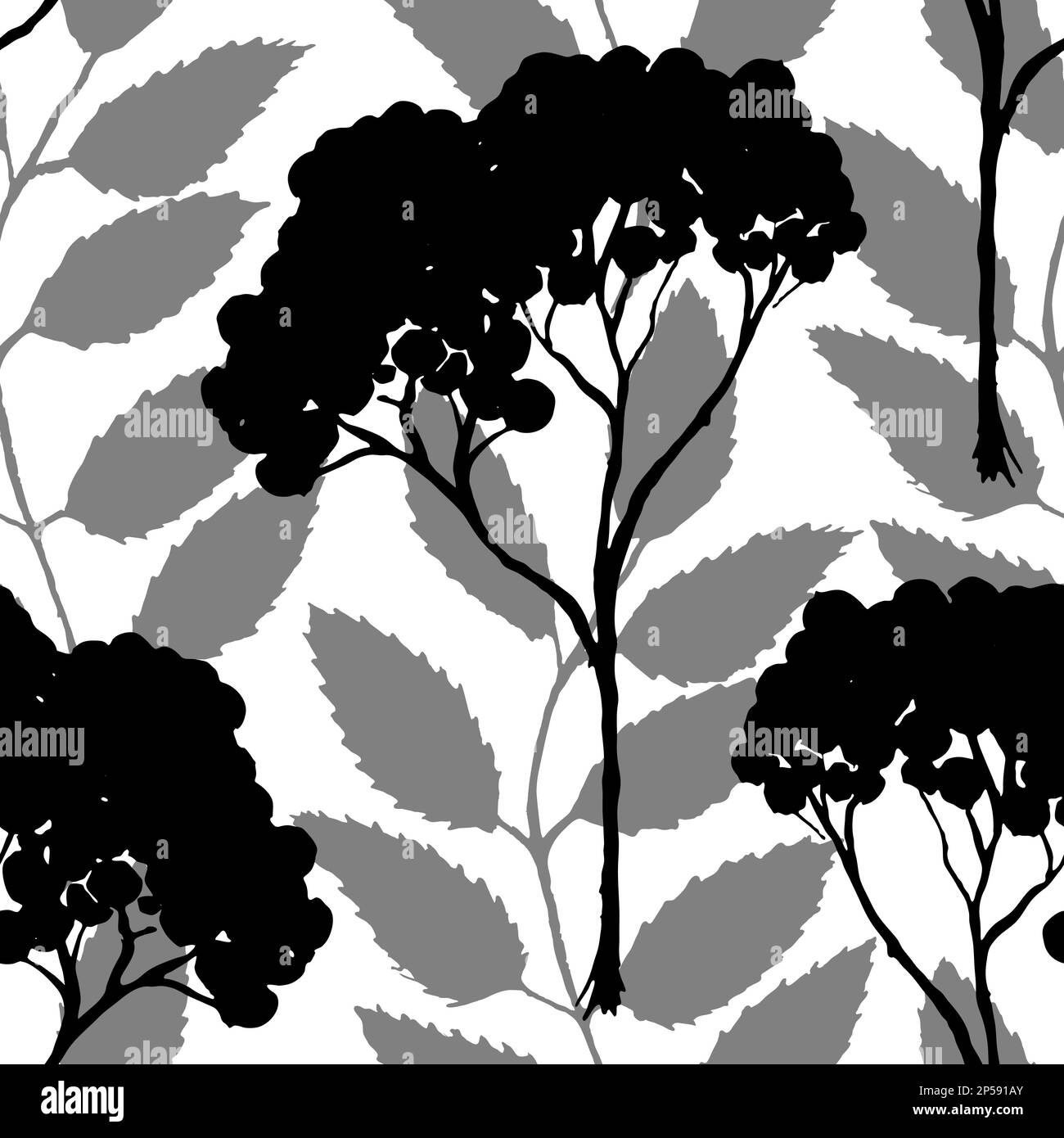 Monochrome black rowan rowanberry ashberry silhouette botanical ...