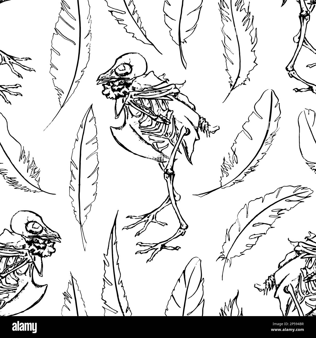 Monochrome skeleton dove pigeon feather bird animal ink line art ...