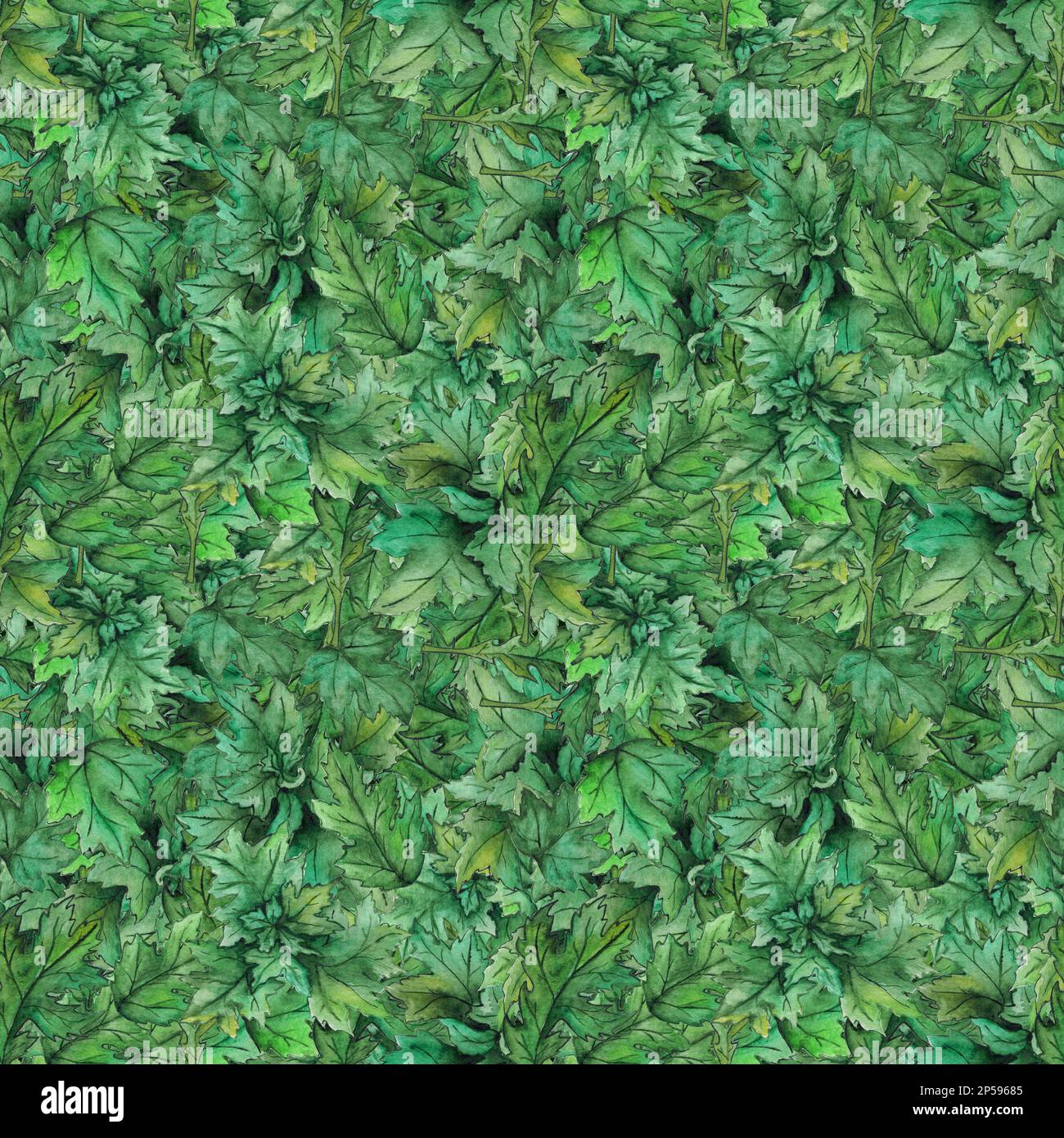 Forest Green Texture Background