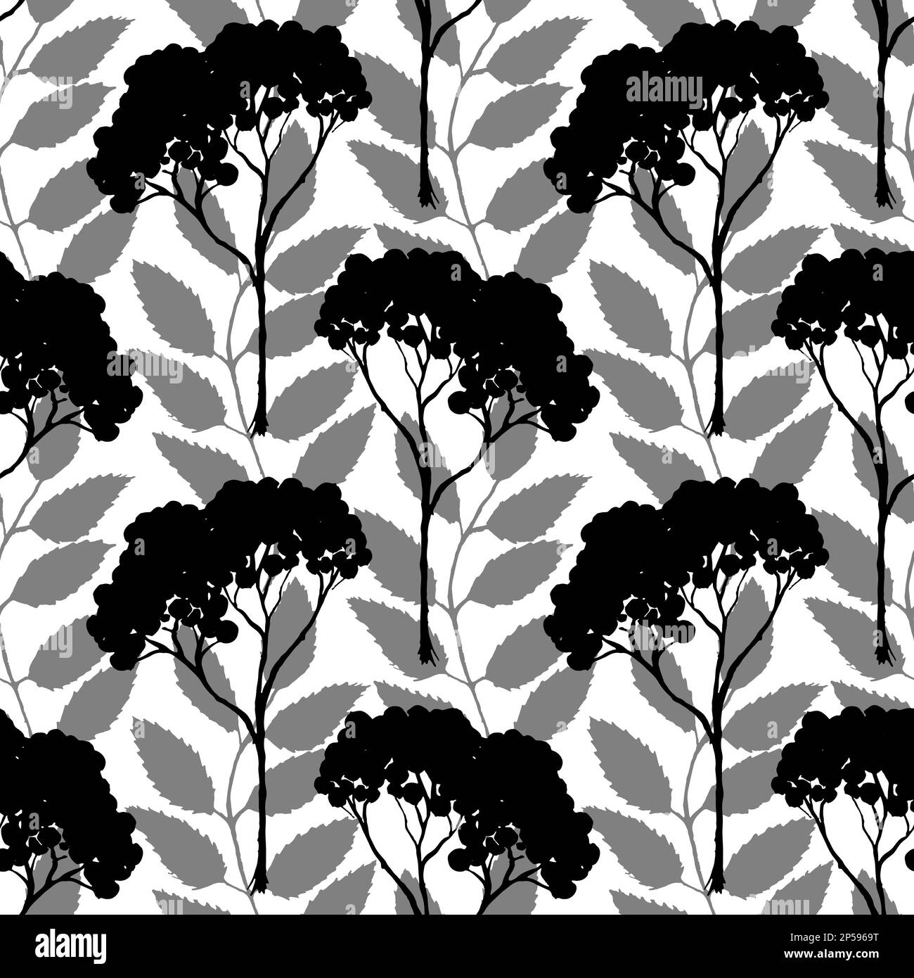 Monochrome black rowan rowanberry ashberry silhouette botanical ...