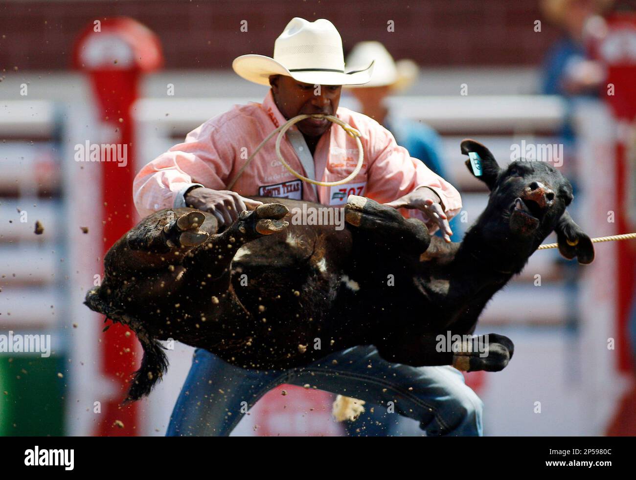 Cory Solomon, from Prairie View, Texas, throws down a calf during tie ...