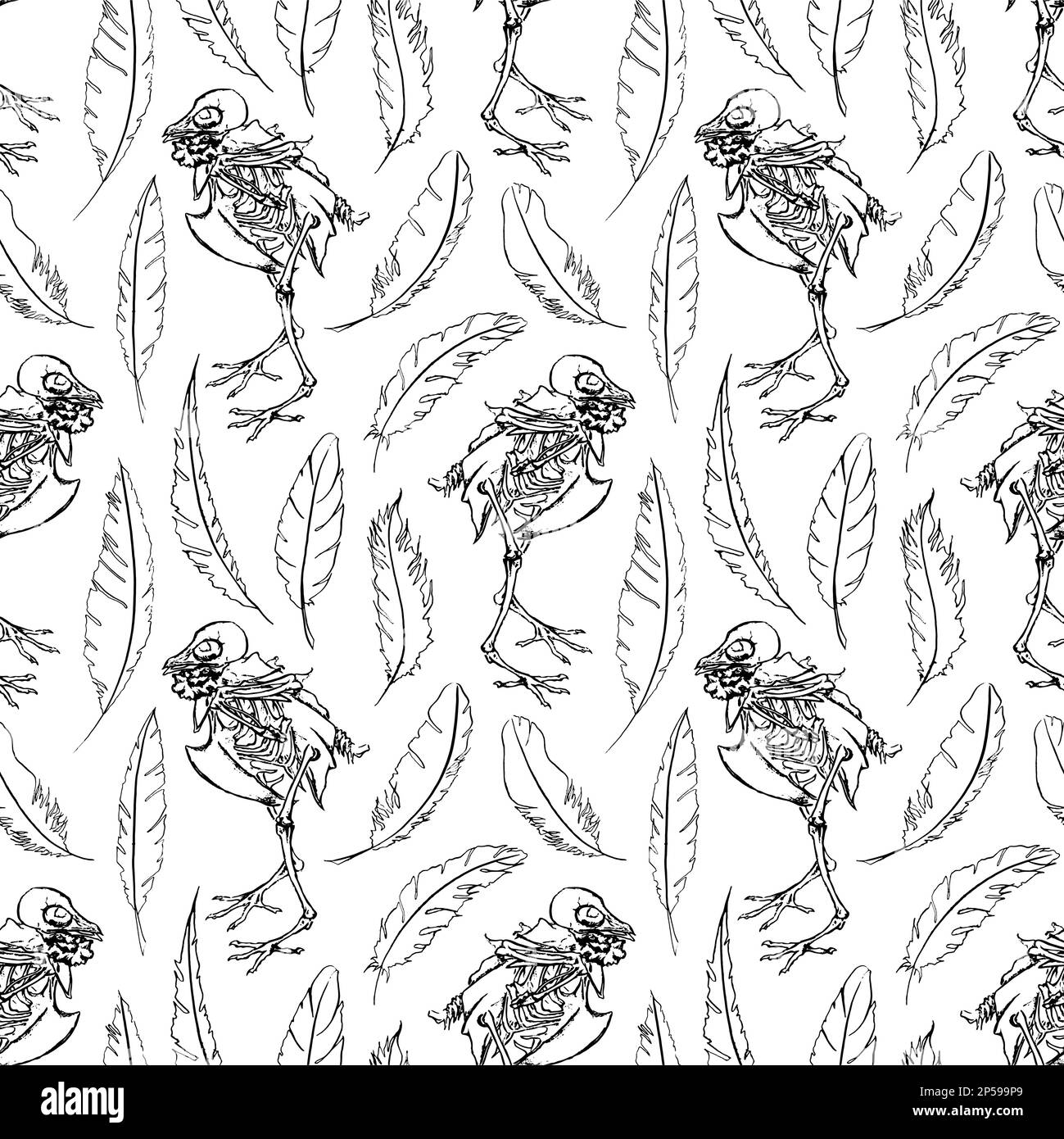 Monochrome skeleton dove pigeon feather bird animal ink line art ...