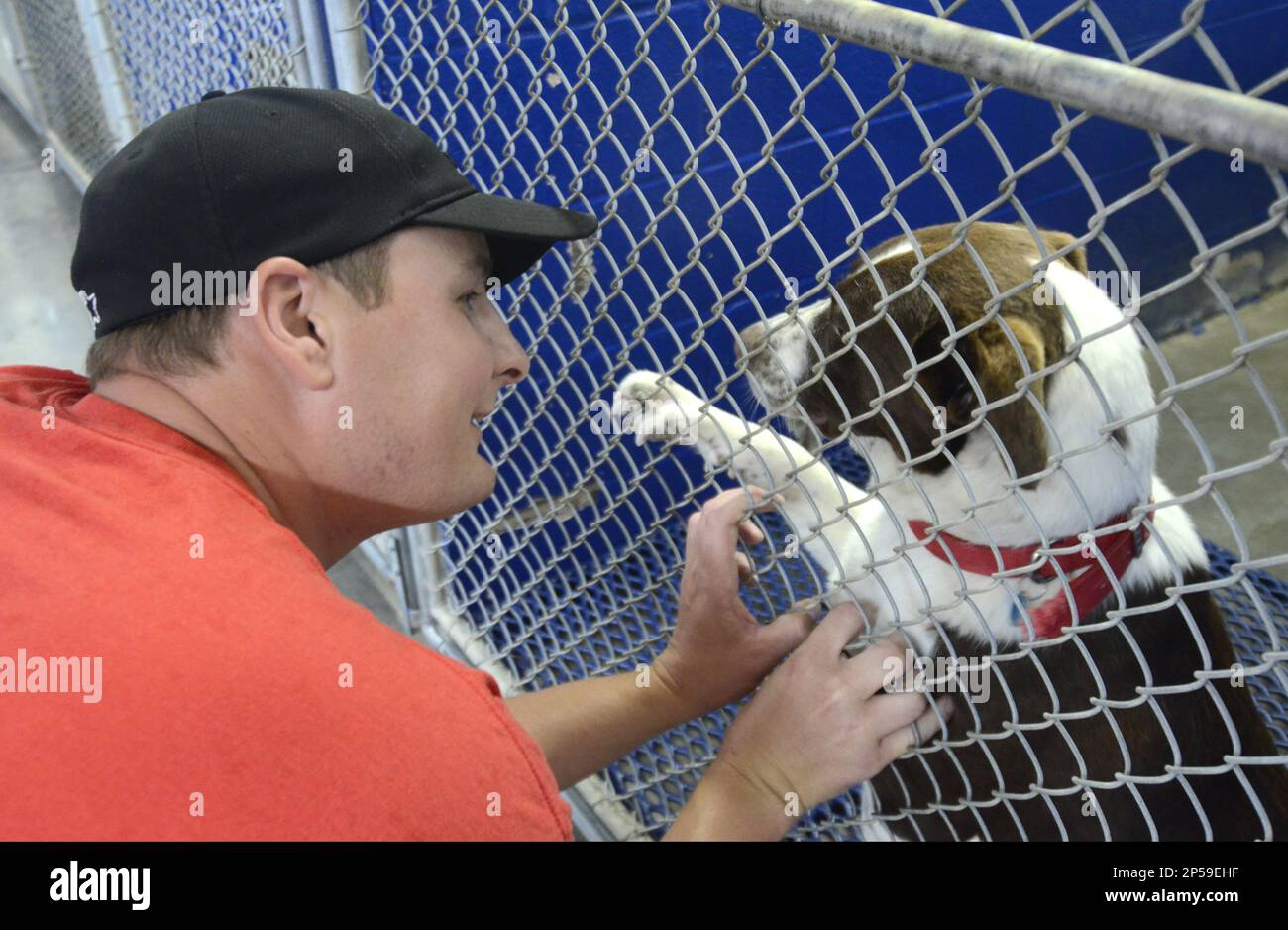 Joseph Simpson pets a dog Wednesday, July 3, 2013 at the Cleveland ...