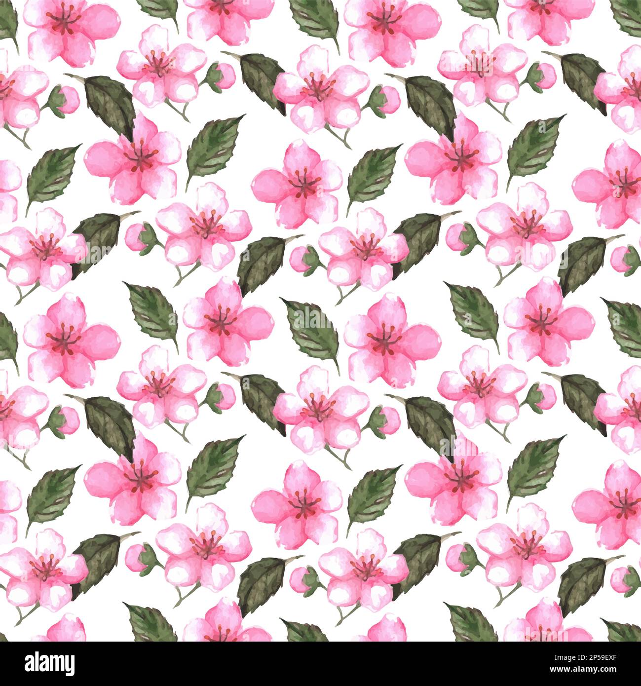 Watercolor pink cherry sakura seamless pattern texture background ...
