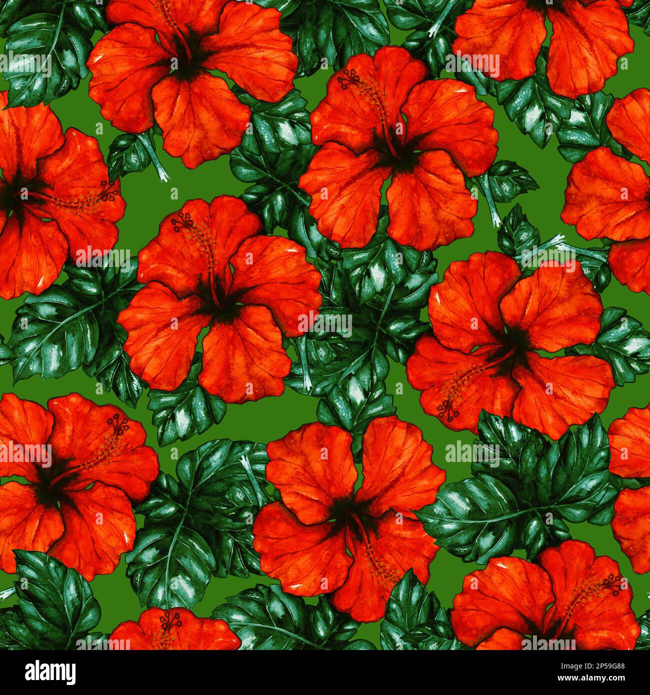 Watercolor red hibiscus karkade tropical exotic flower plant seamless ...