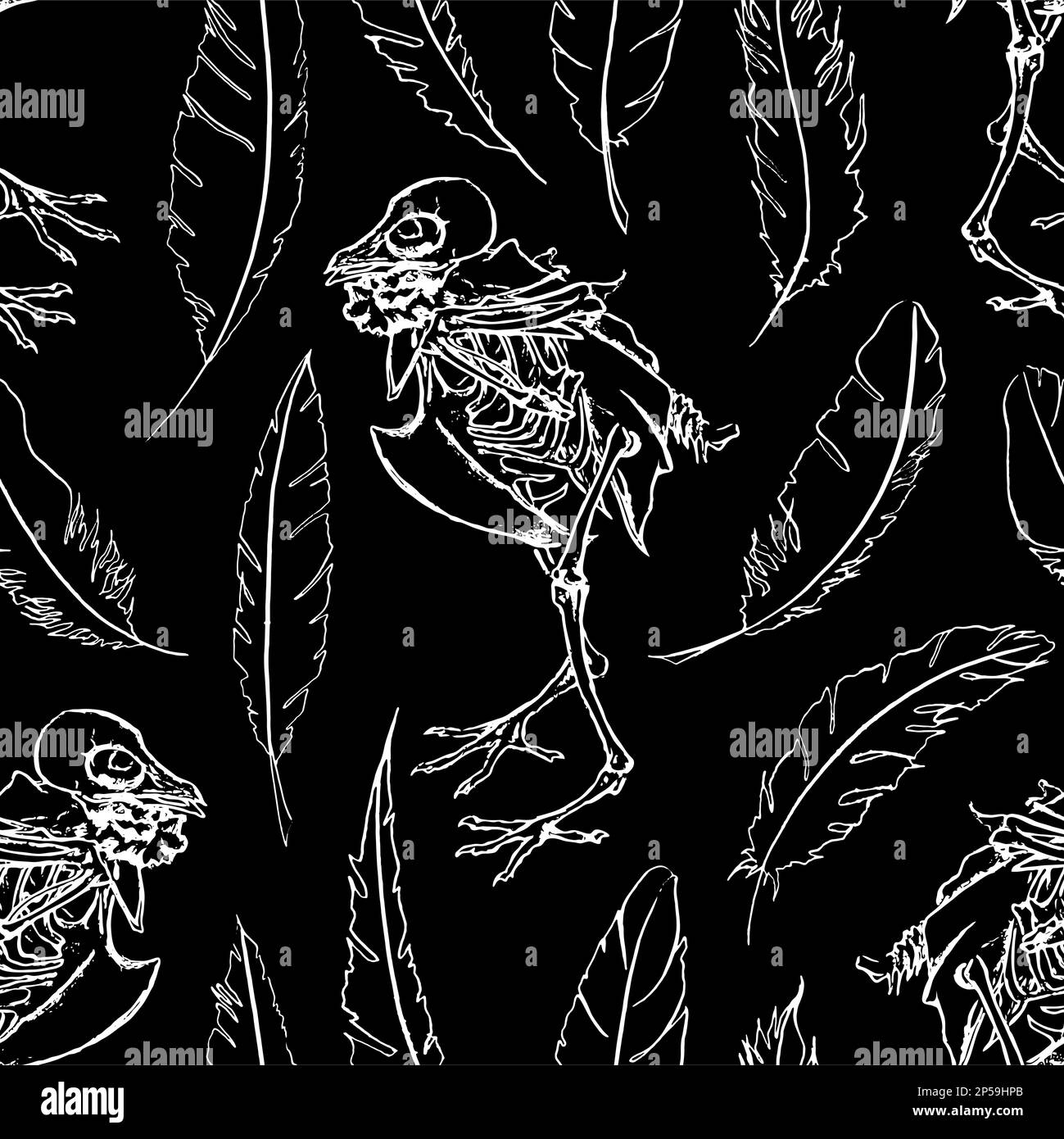 Monochrome skeleton dove pigeon feather bird animal ink line art ...