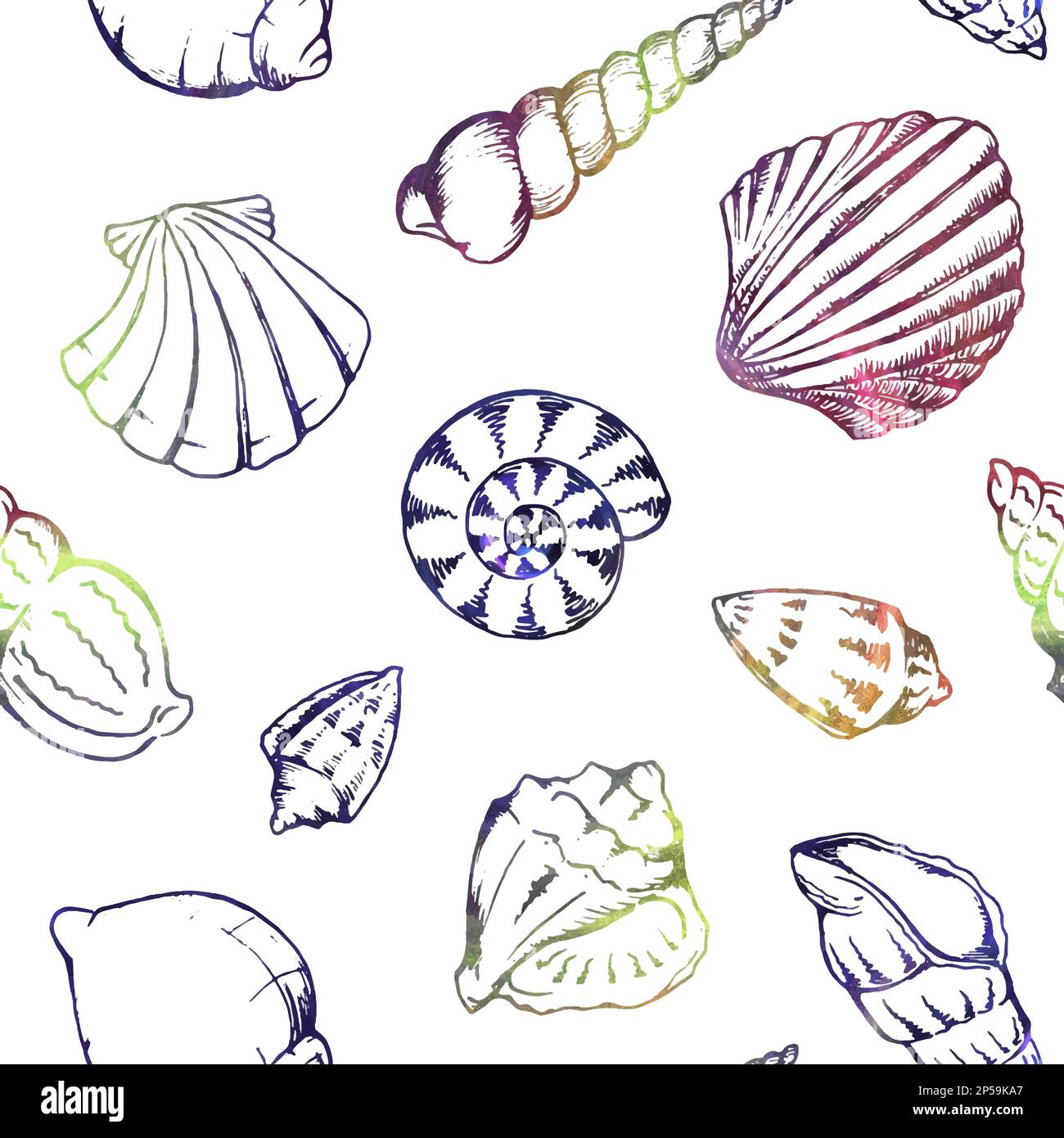 Sea Shell Drawing
