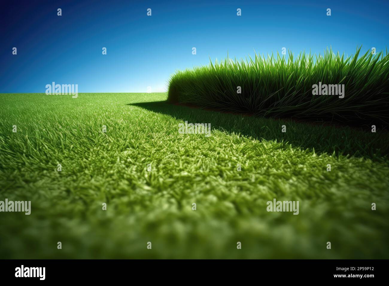 Perfectly cut lawn hi-res stock photography and images - Alamy