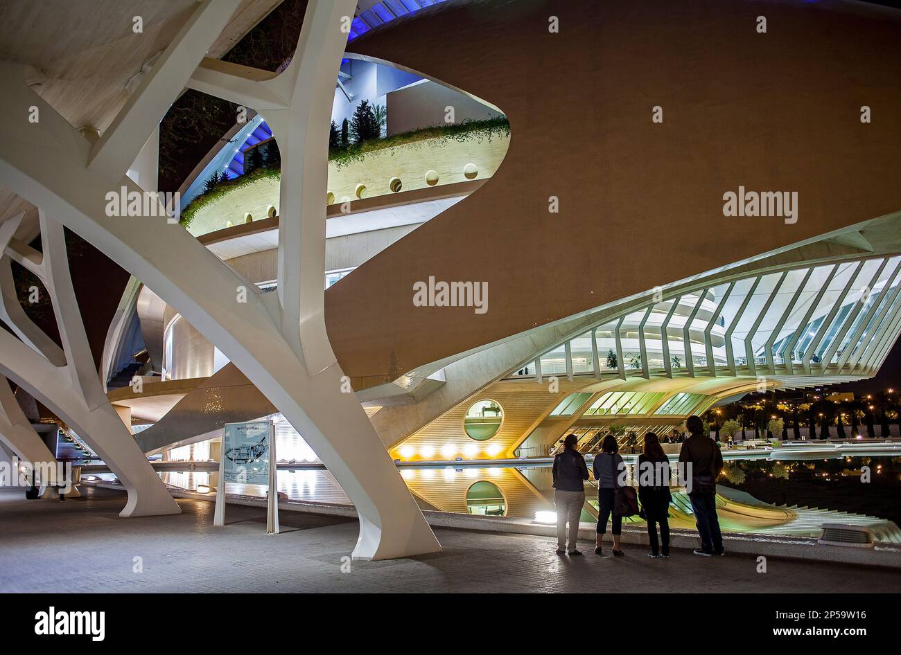 Arcade and Palace of Arts 'Reina Sofia', City of Arts and Sciences ...