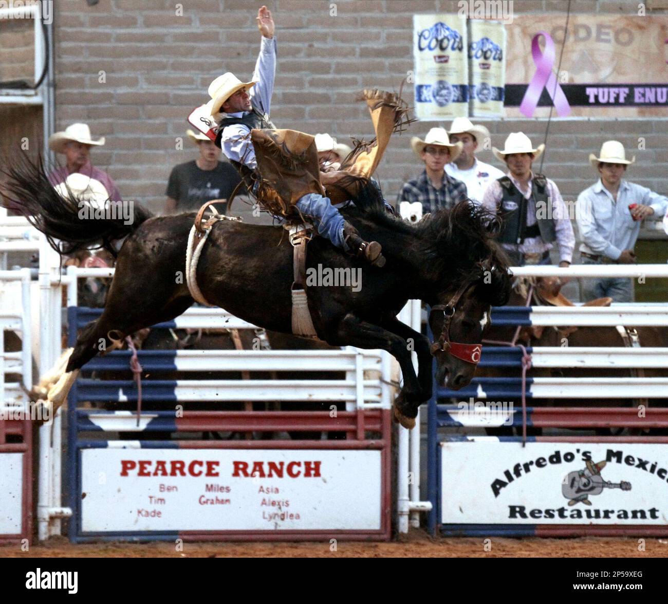 Bareback rider Trey Fisher stays on his horse Night Bells for a score ...