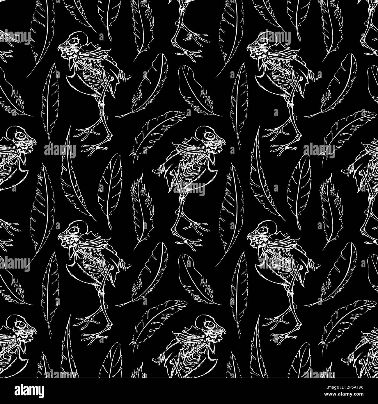 Monochrome skeleton dove pigeon feather bird animal ink line art ...