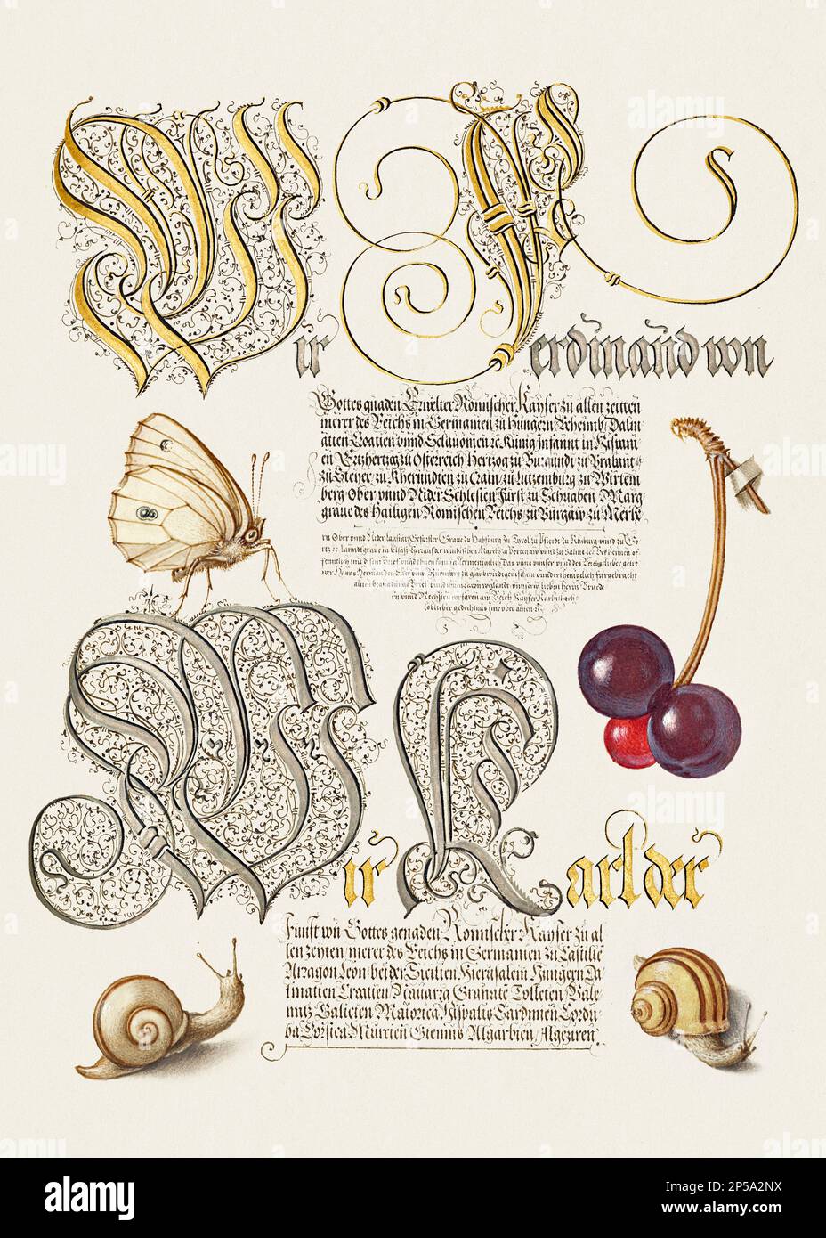 Illuminated letters artwork medieval hi-res stock photography and ...