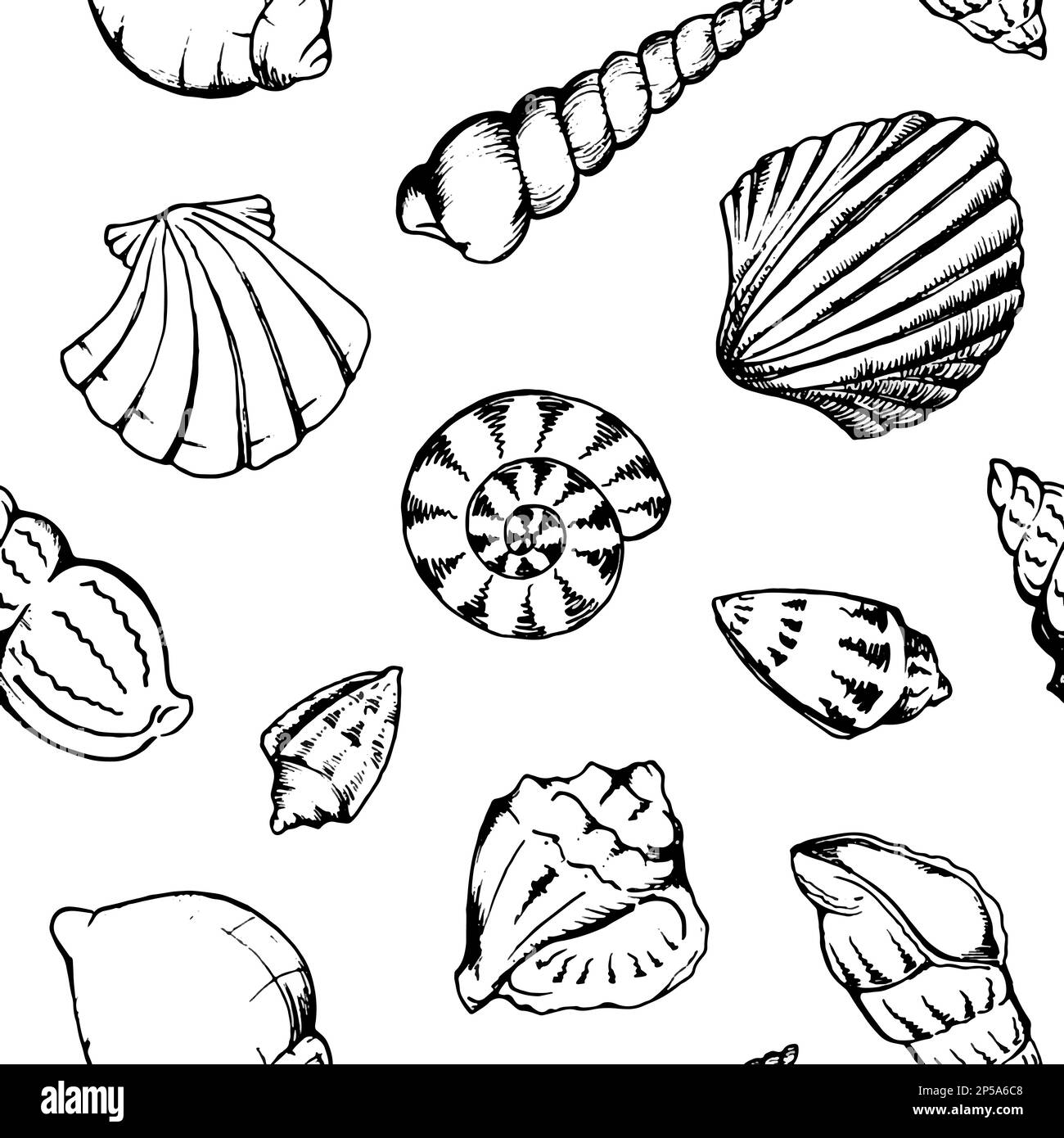Monochrome sea shells vector seamless pattern texture background Stock ...