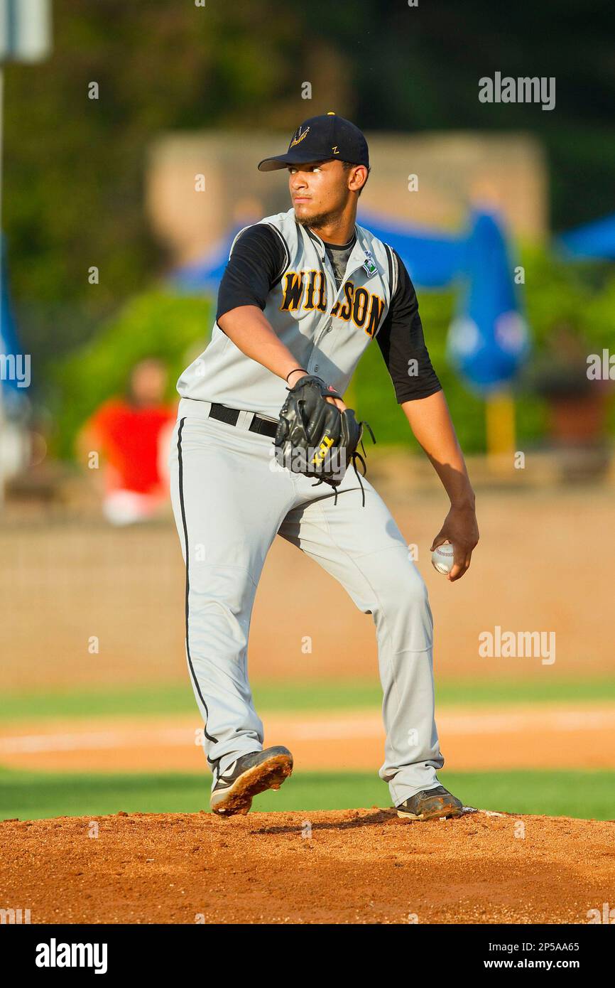 Wilson Tobs starting pitcher Julio Valdez #1 (Alabama State) in action ...