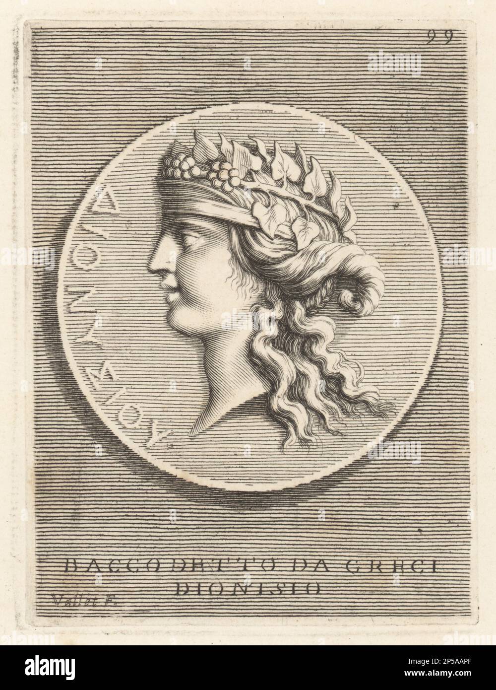 Head of Bacchus, called Dionysus by the Greeks. Roman god of wine and ...